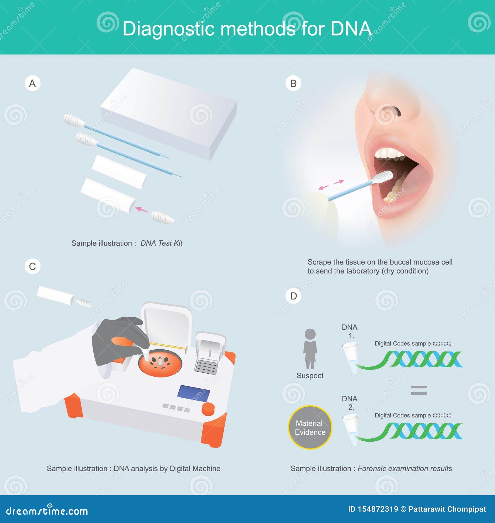 Diagnostic Methods For Dna 3d Illustration Infographic Stock Vector
