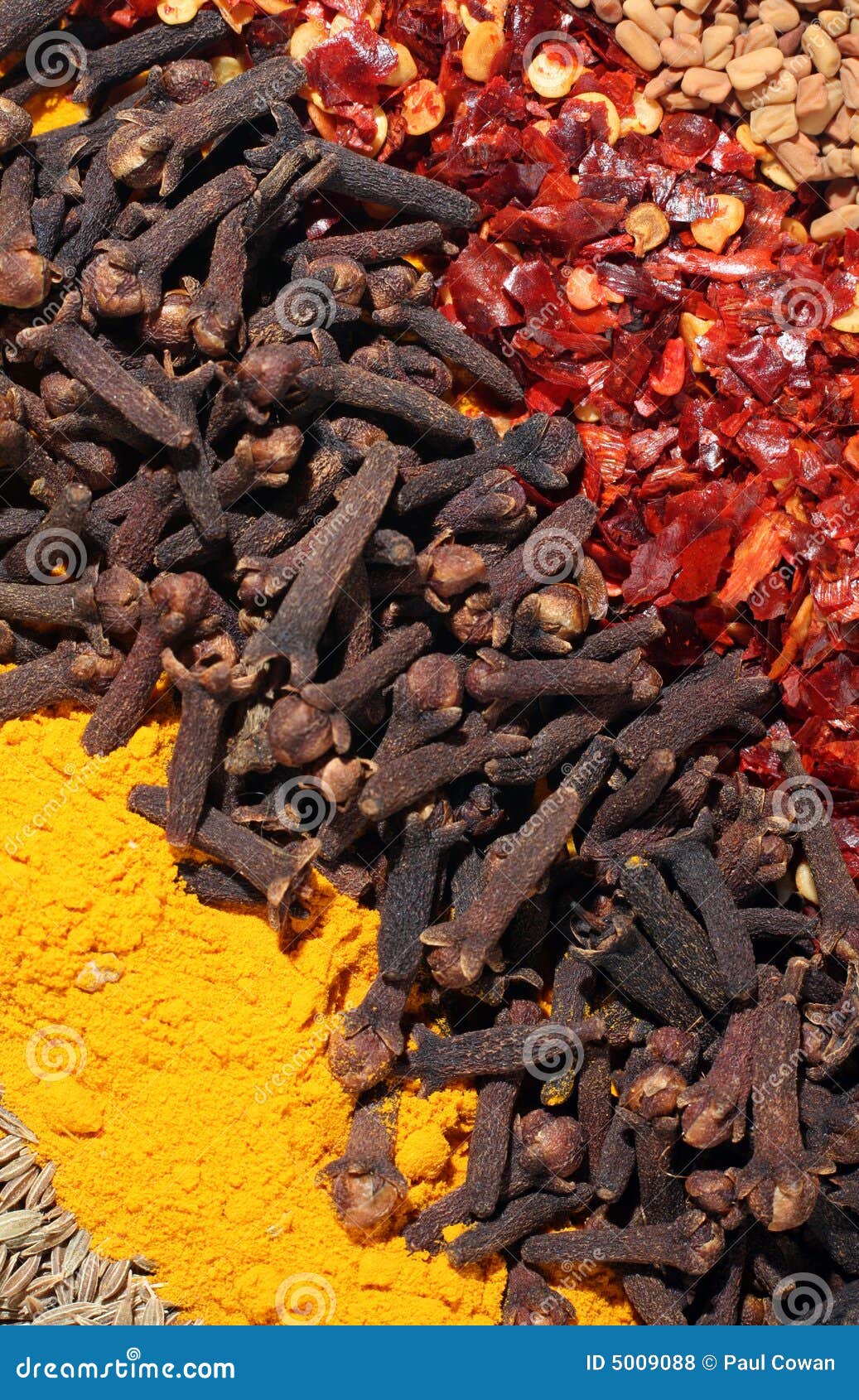 Diagonal Abstract Curry Spices Stock Photo - Image of vertical, seeds ...