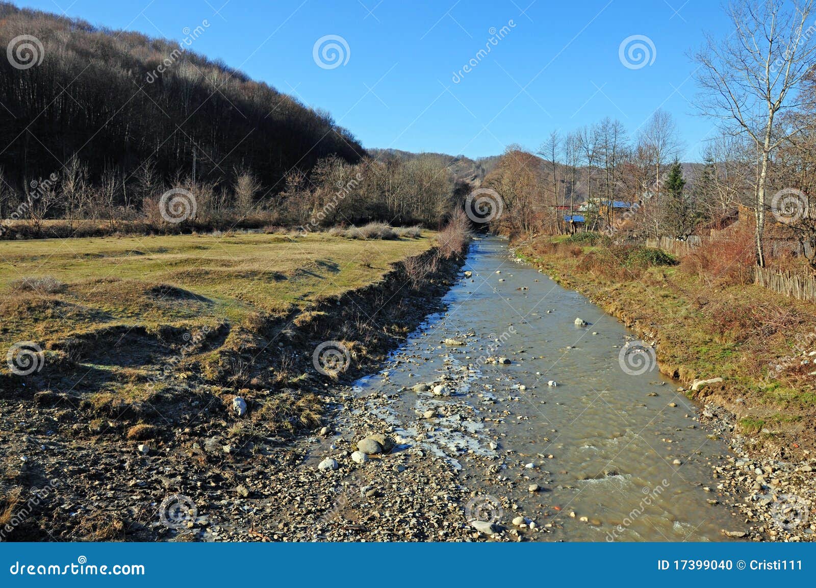 Diagonal Arc: Forest and River Stock Photo - Image of climb, gray: 17399040
