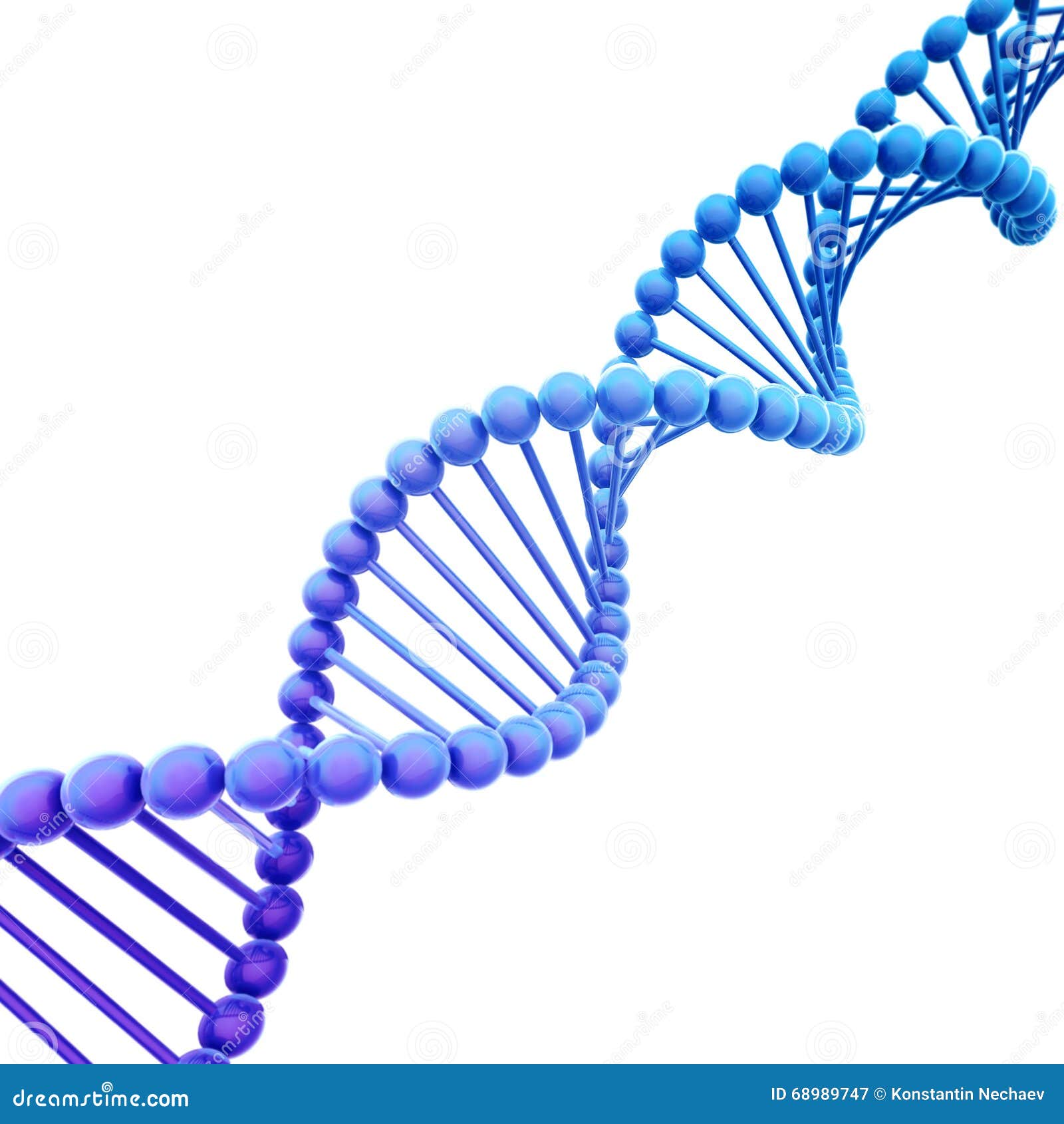 Diagonal Blue DNA Helix on White Stock Image - Image of human, genetic ...