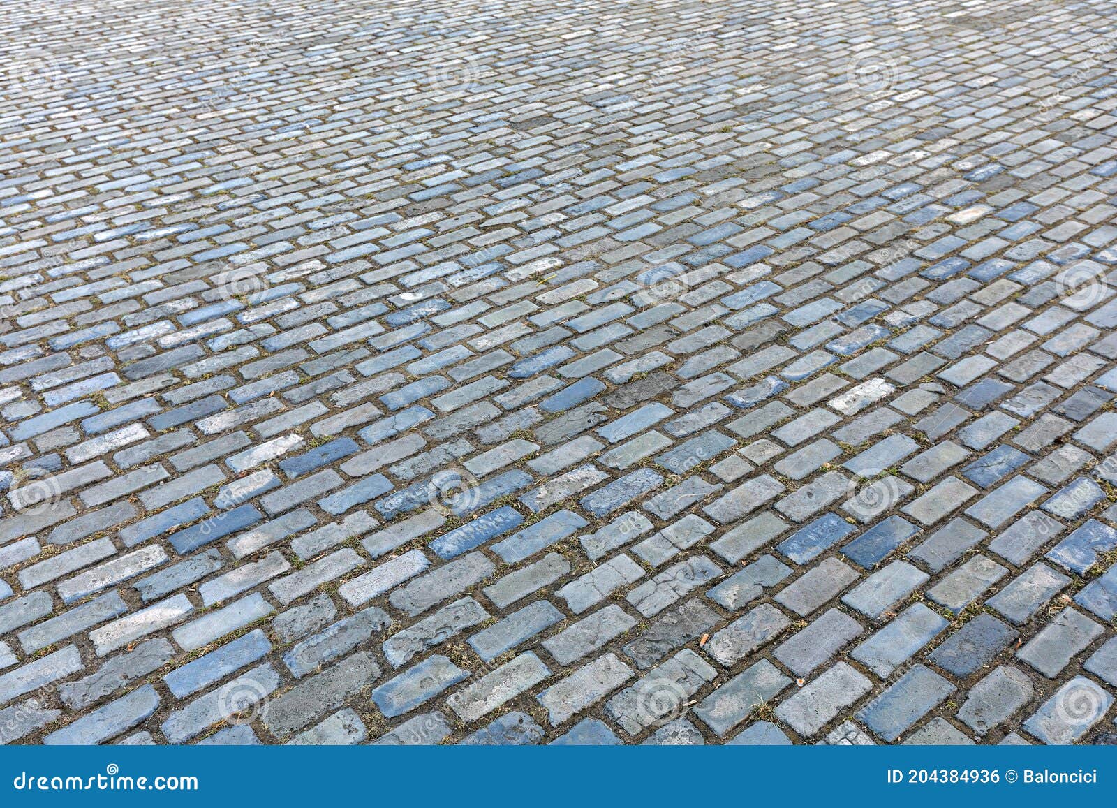 Diagonal Bricks Pavement stock photo. Image of pavement - 204384936