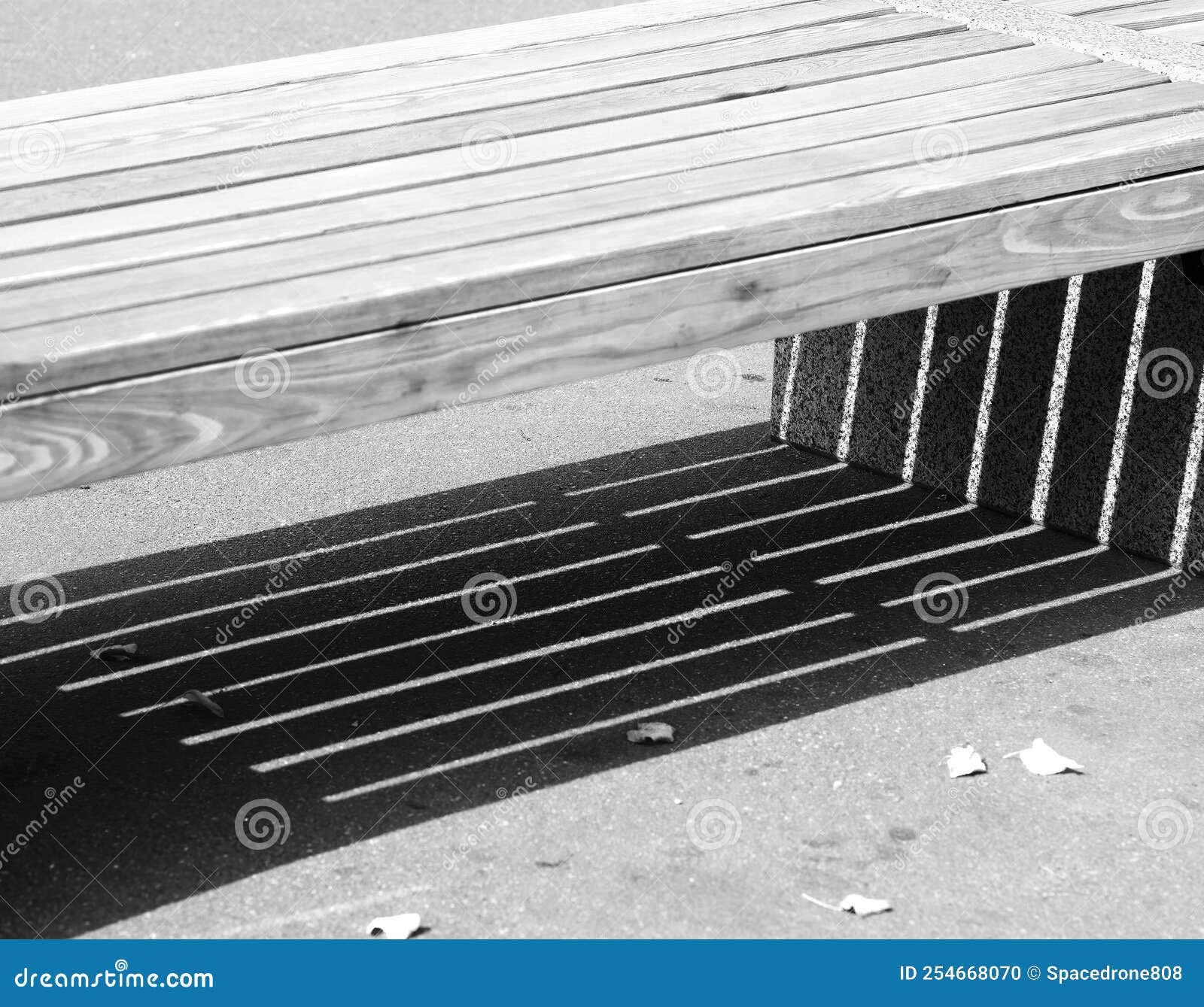 Diagonal City Bench with Dramatic Shadow Stock Photo - Image of autumn ...