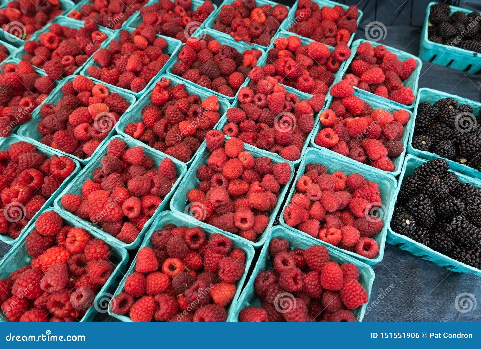 Diagonal Green Cartons Full of Raspberries and Blackberries Stock Photo ...
