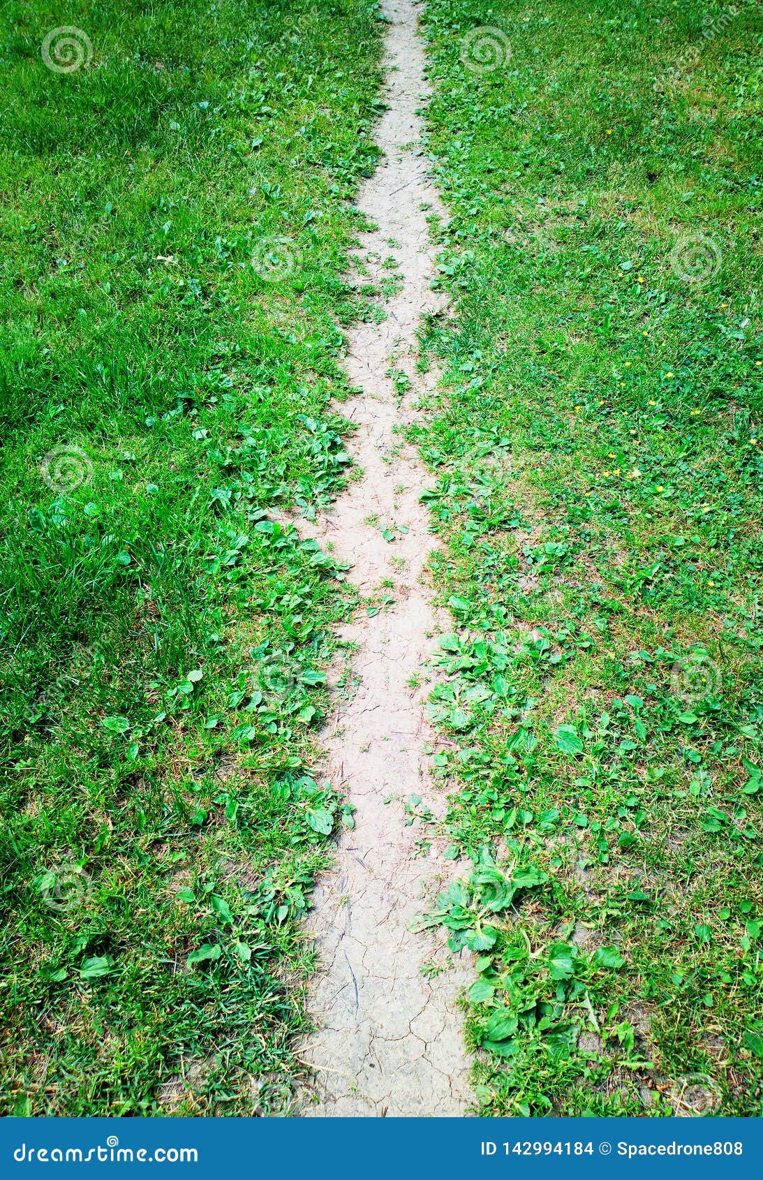 Diagonal Meadow Path Walk Background Stock Photo - Image of bright ...