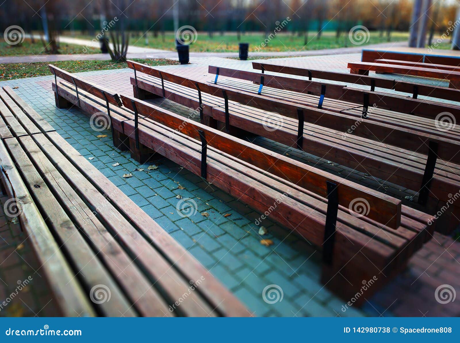 Diagonal Park Benches Landscape Background Stock Photo - Image of ...