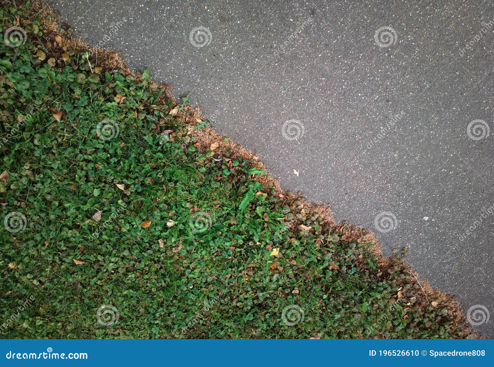 Diagonal Park Road with Lawn View from Above Stock Photo - Image of ...