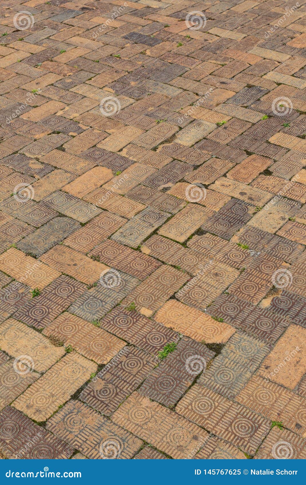 Diagonal Pattern Background of Decorative Brick Pavers Stock Image ...
