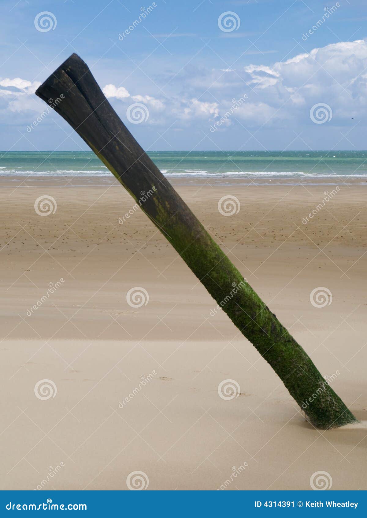 Diagonal Piling On Beach Stock Image | CartoonDealer.com #4314391