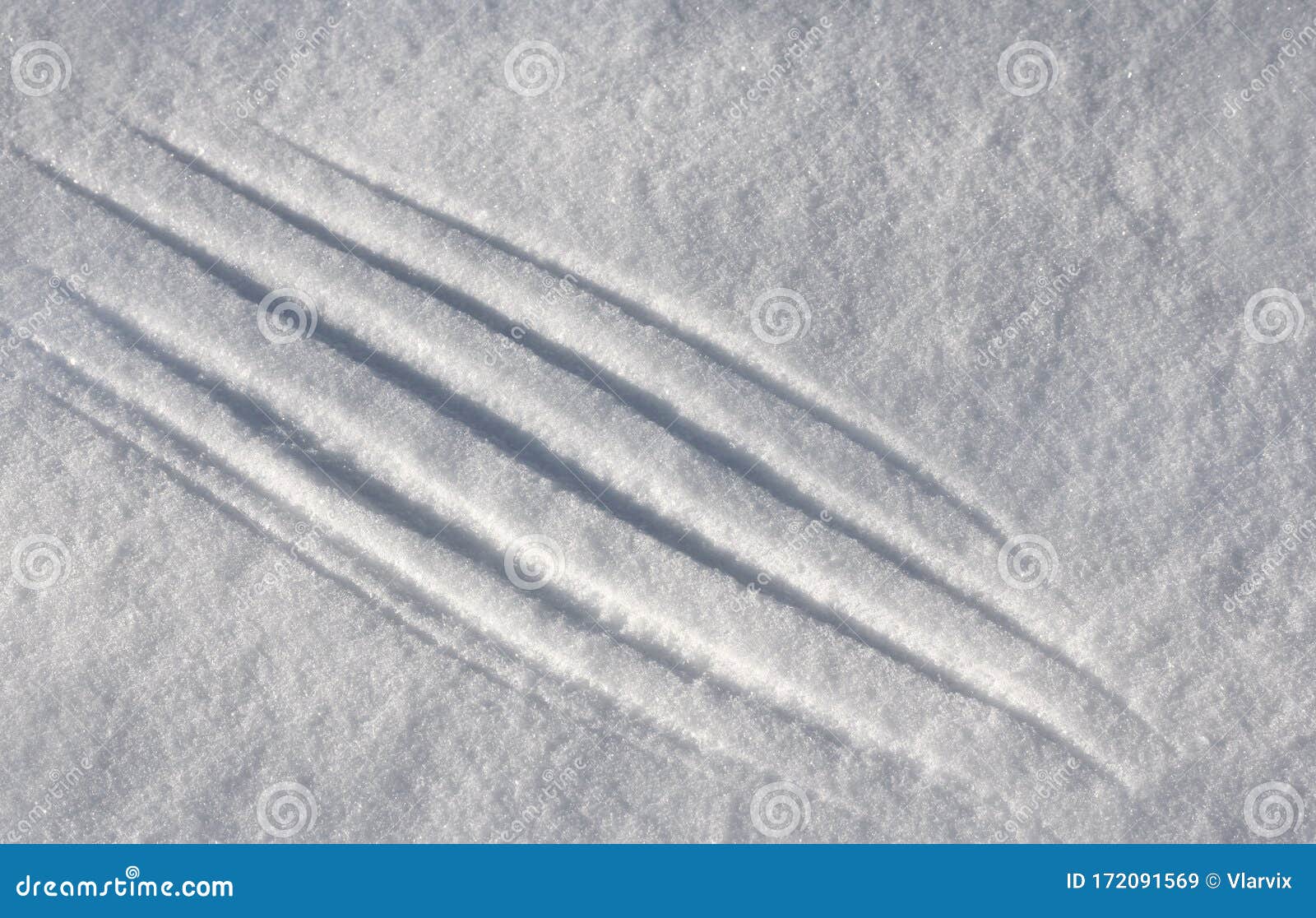 Diagonal Scratches on Loose Snow Stock Image - Image of season, closeup ... Diagonal Scratches on Loose Snow Stock Image - Image of season, closeup ...
