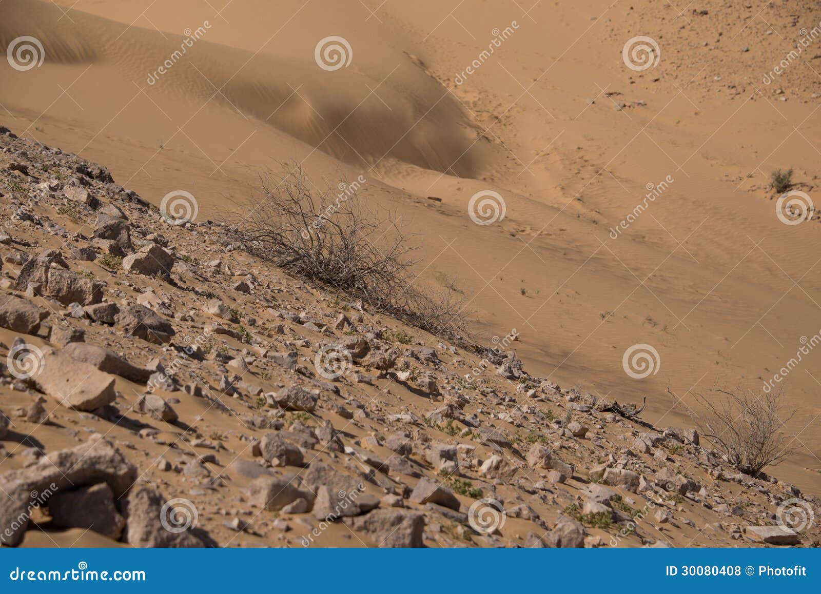 Desert stock photo. Image of land, drought, texture, soil - 30080408