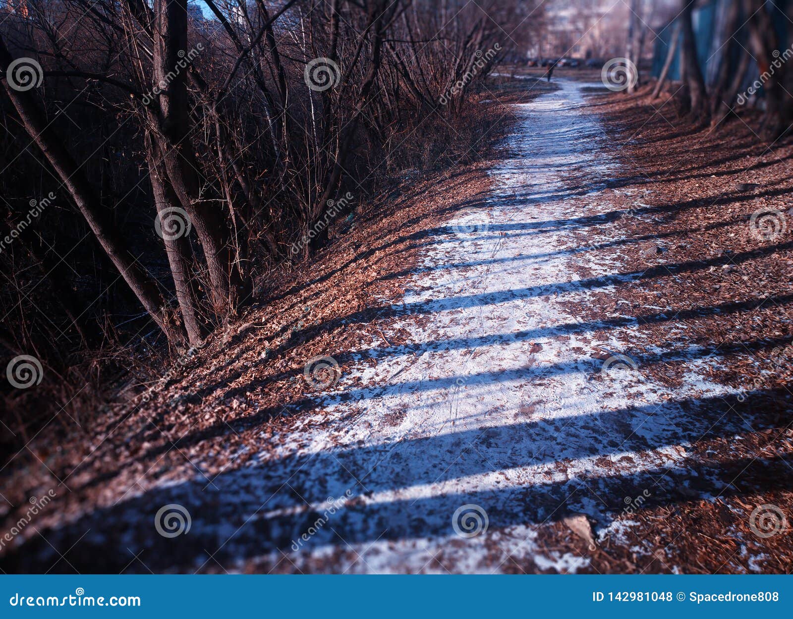 Diagonal Winter Path at Park Background Stock Photo - Image of rich ...