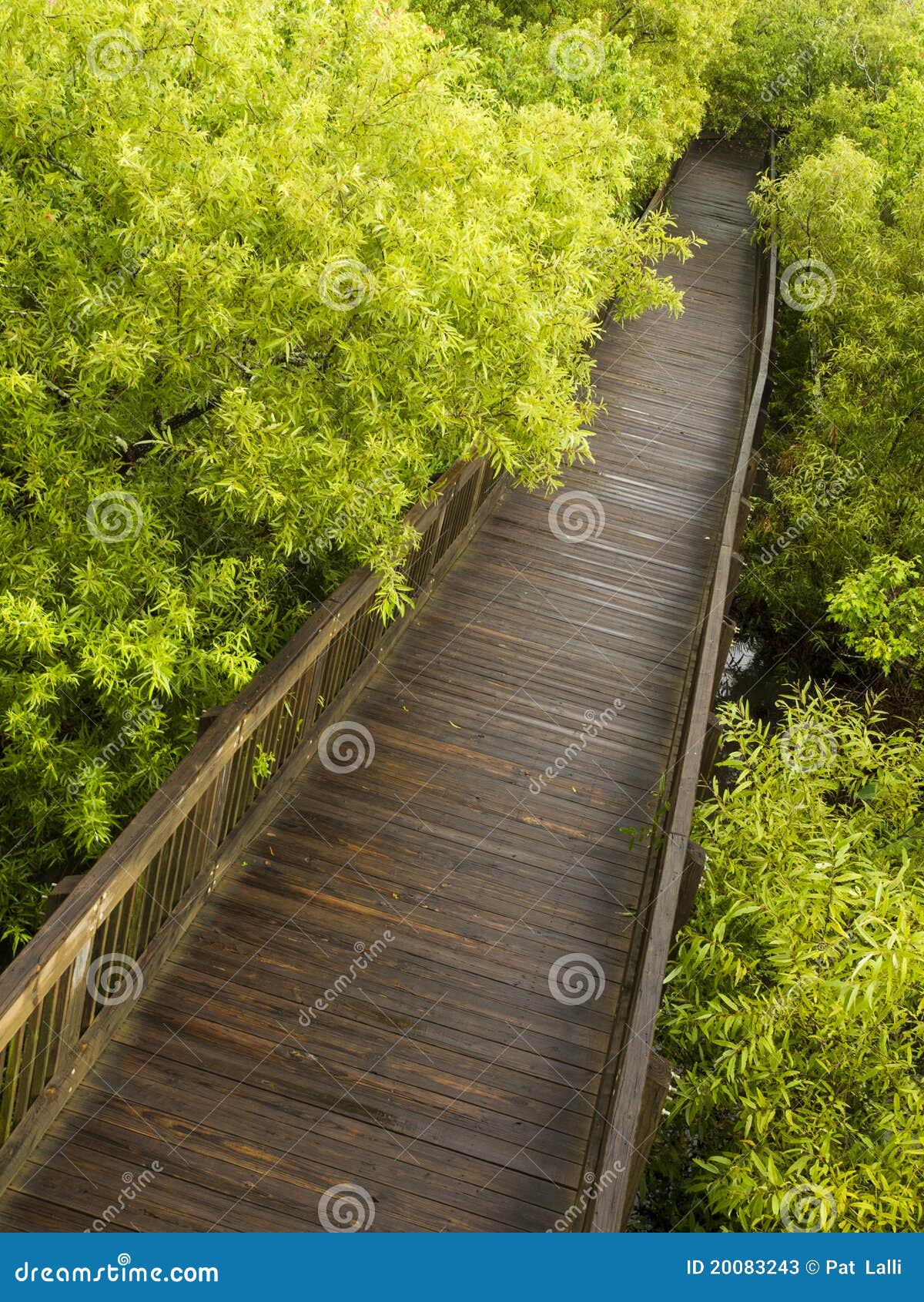 Diagonal wooden pathway stock image. Image of brown, florida - 20083243
