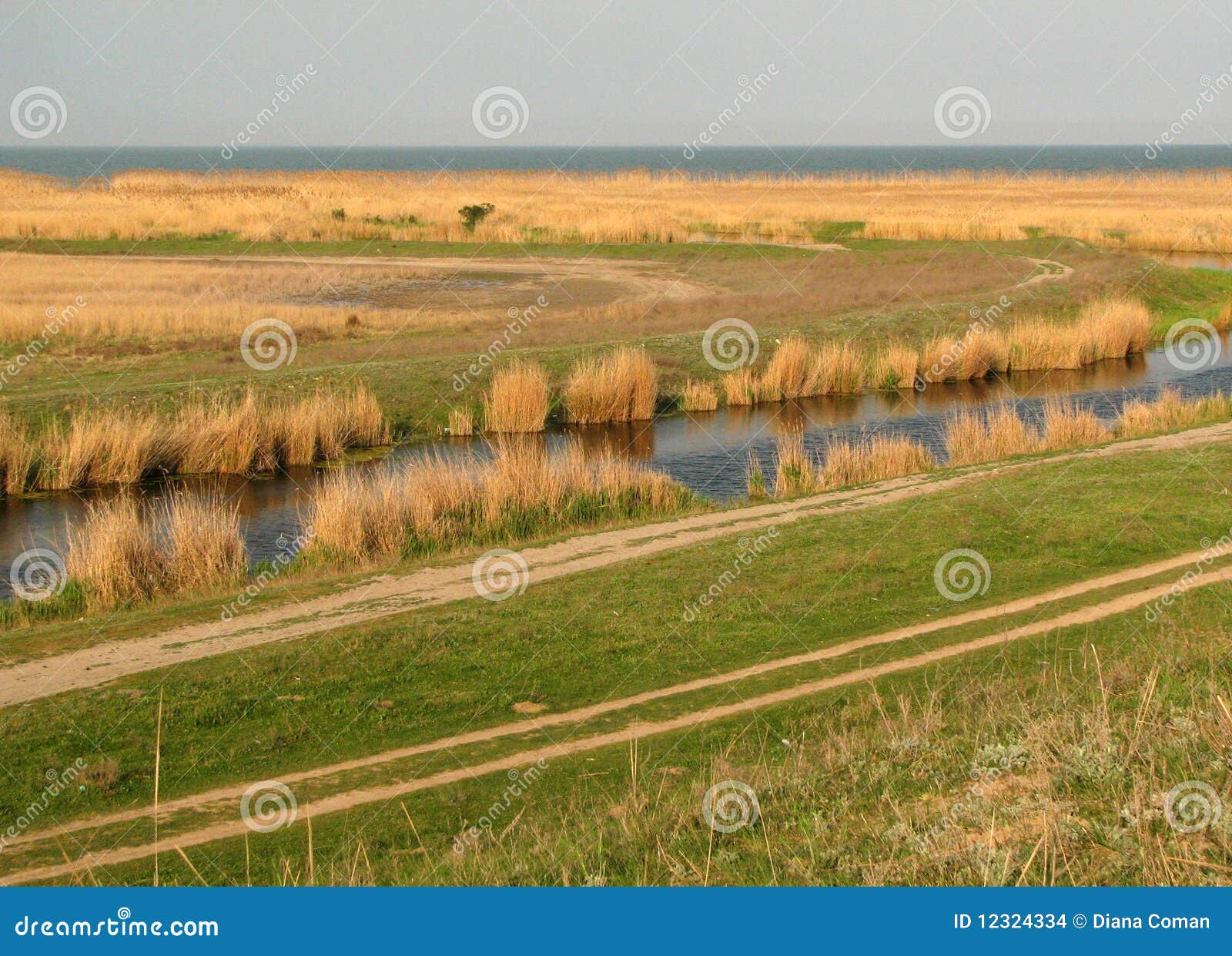 Diagonals on the fields stock photo. Image of lakes, landscape - 12324334