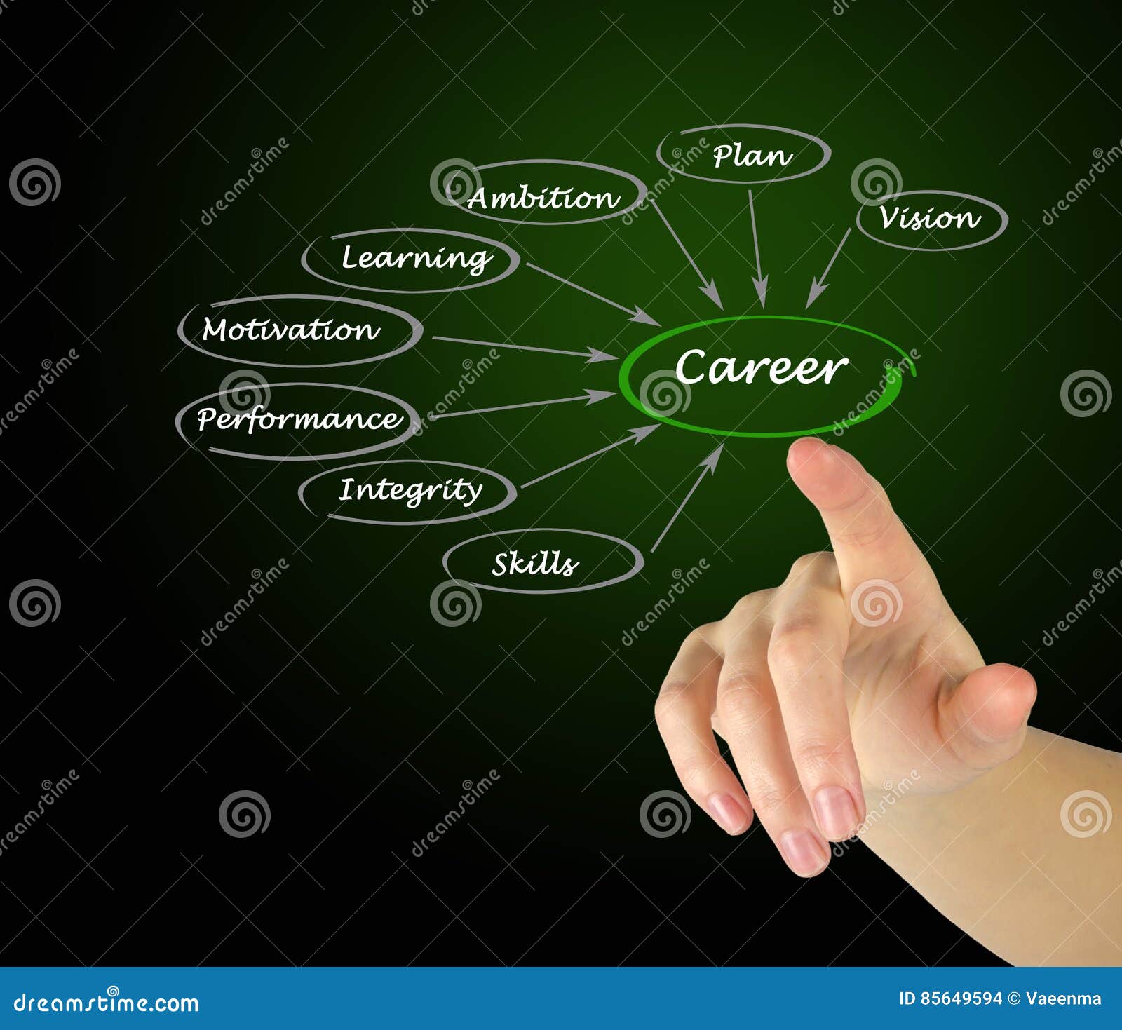 Diagram of Career Development Stock Photo - Image of concept, diagram ...