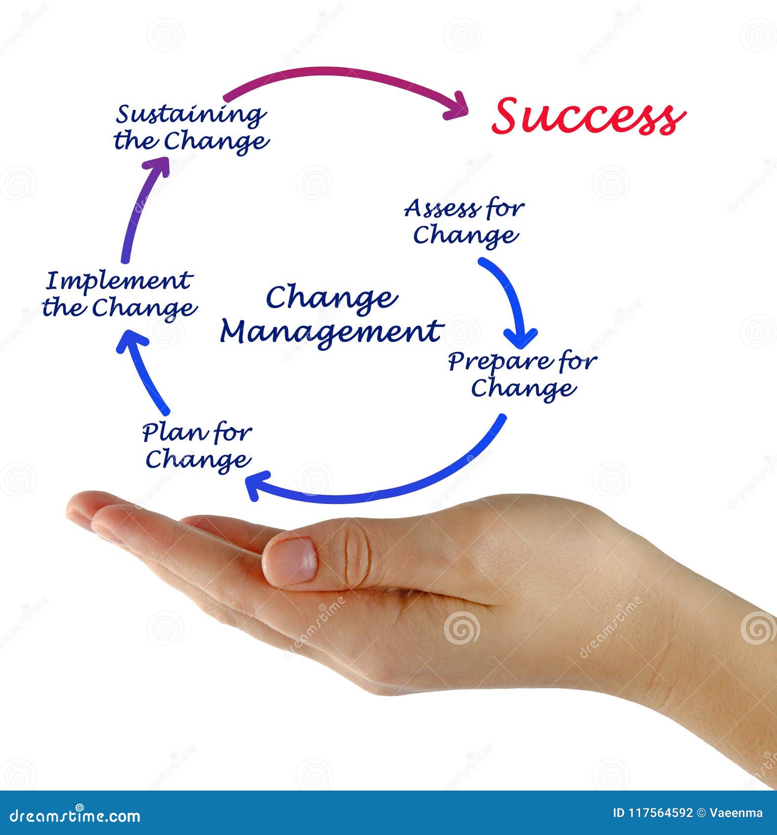 Diagram of Change Management Stock Photo - Image of change, sustaining ...