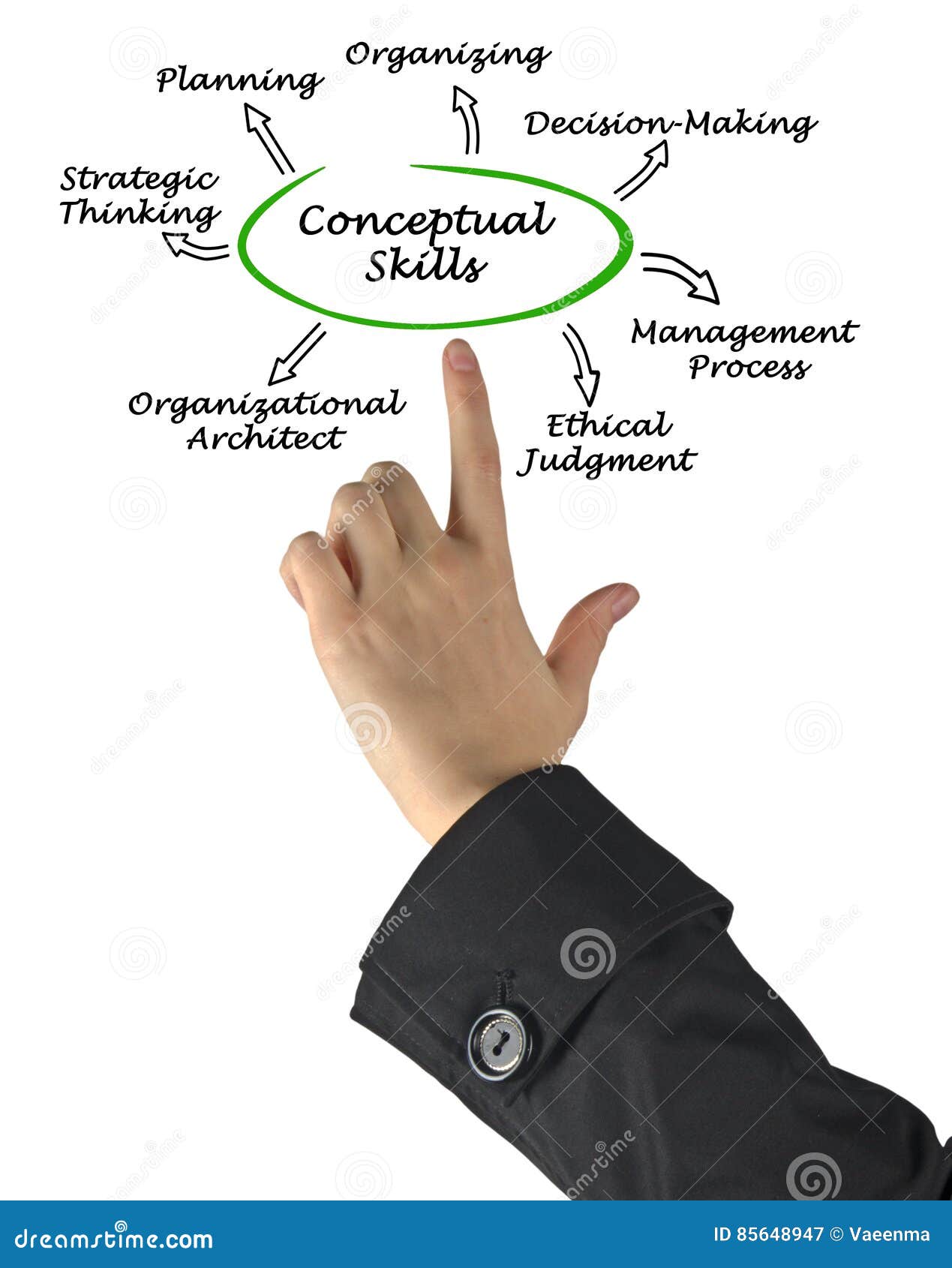 Diagram of Conceptual Skills Stock Image - Image of judgment ...