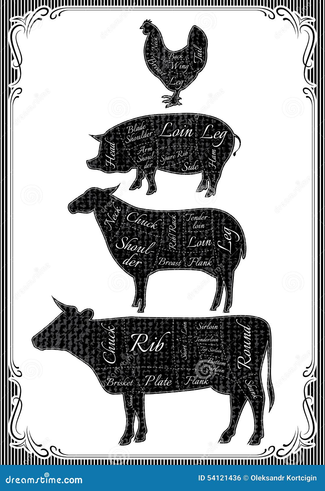 Diagram Cut Carcasses Of Chicken, Pig, Cow, Lamb Vector Illustration ...