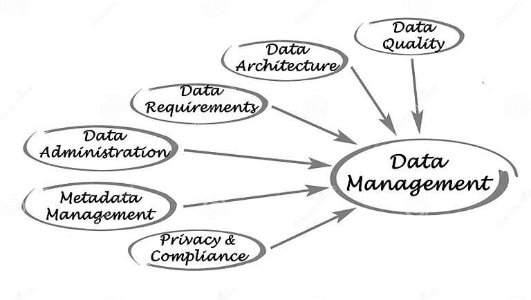 Diagram of data management stock illustration. Illustration of ...