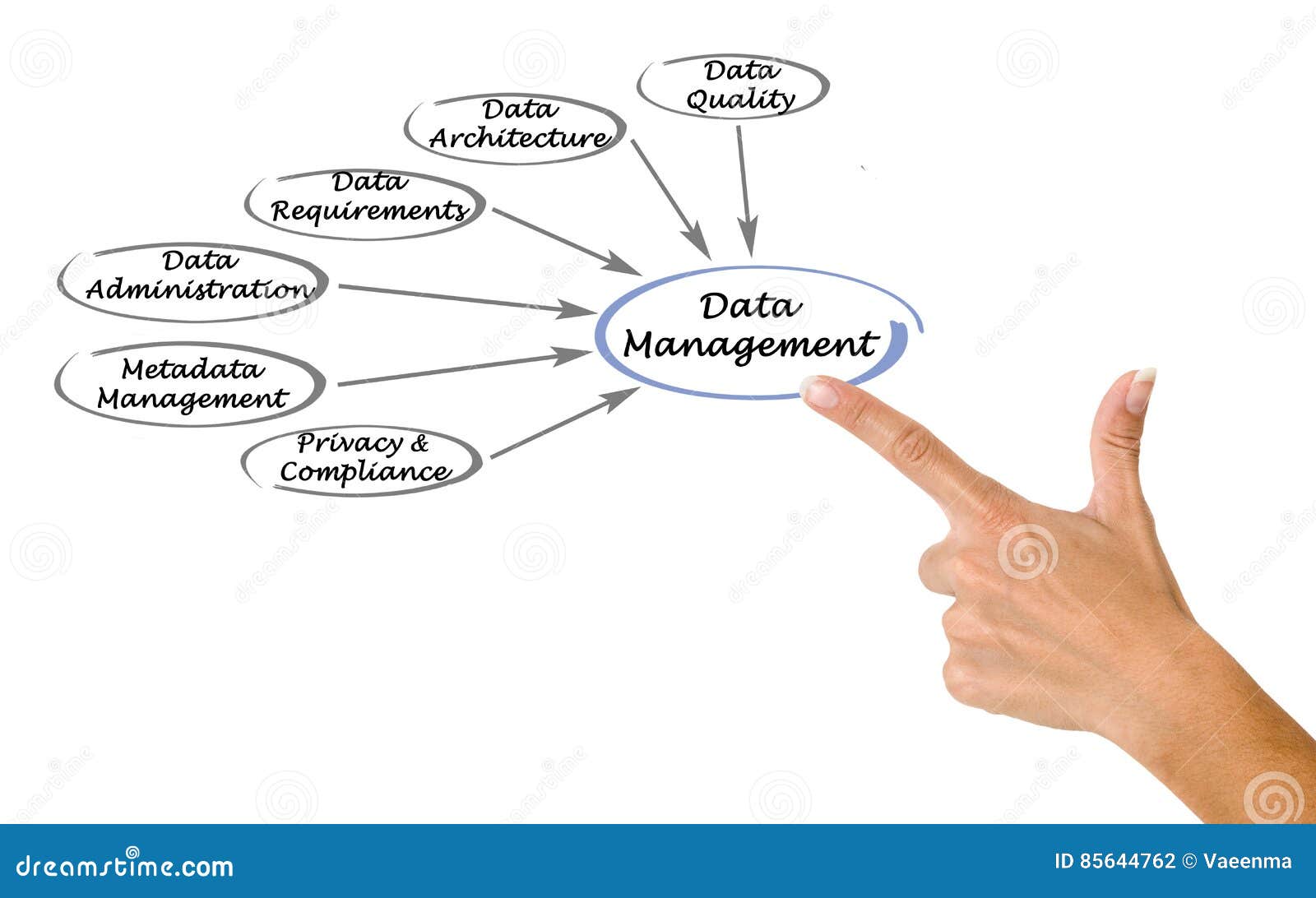 Diagram of data management stock photo. Image of pointing - 85644762