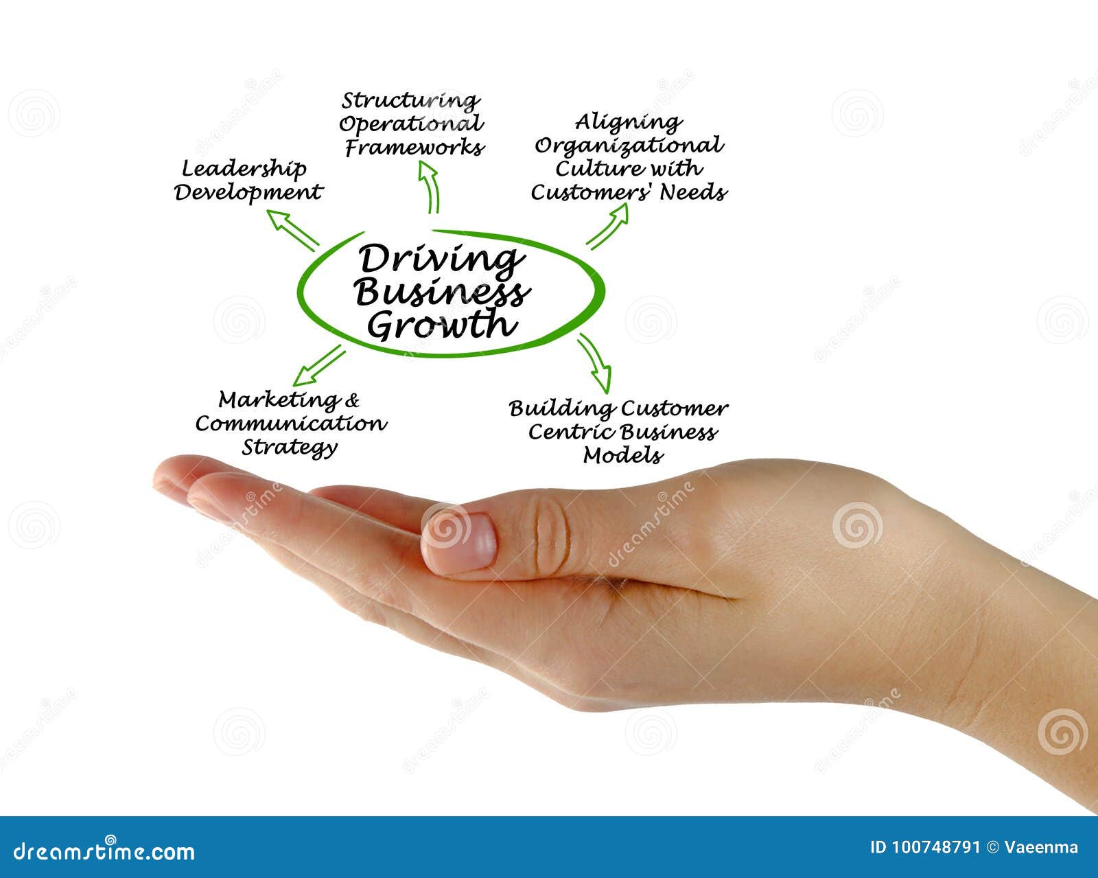 Driving Business Growth stock image. Image of concept - 100748791 Driving Business Growth stock image. Image of concept - 100748791