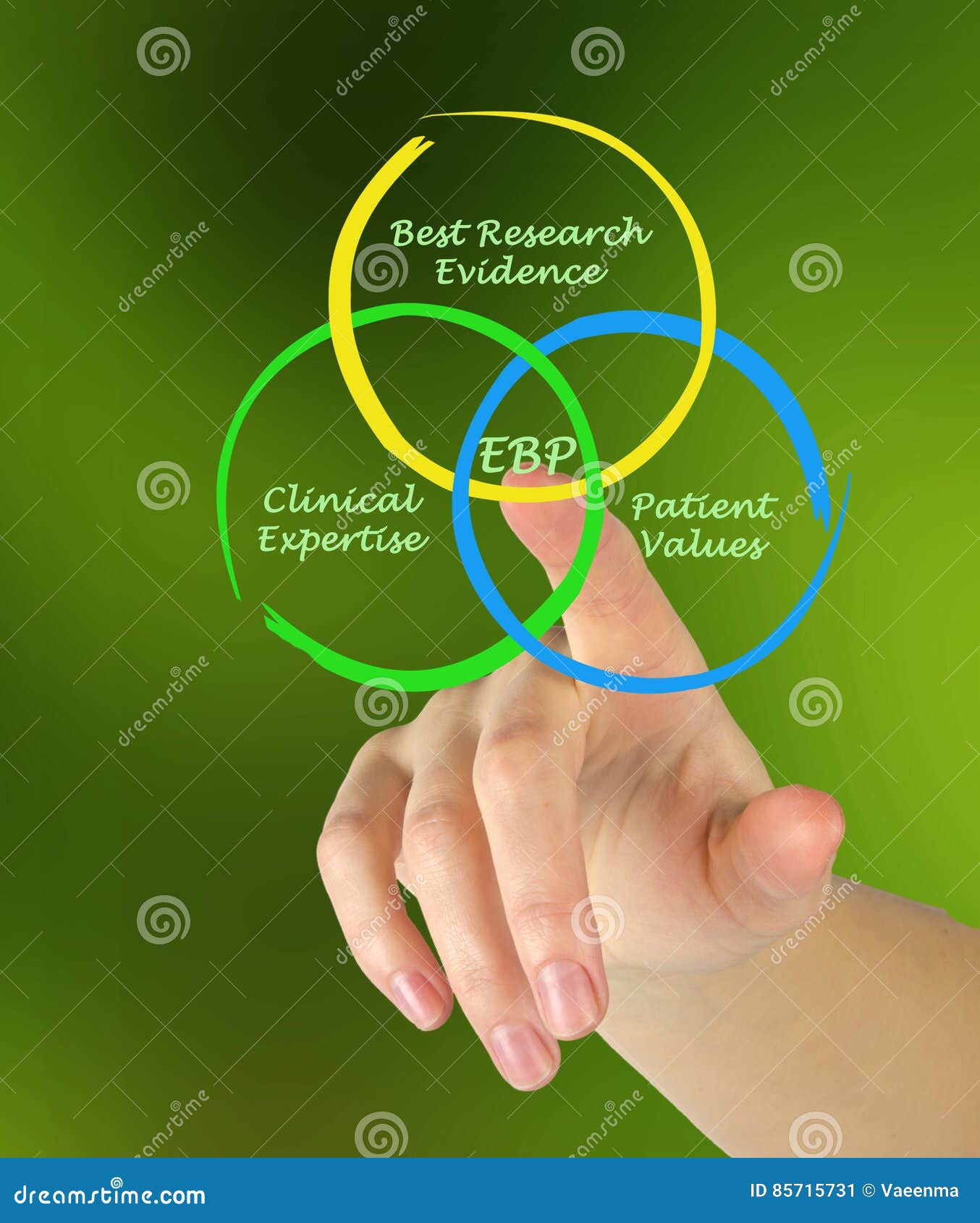 Diagram Of Ebp Stock Image Image Of Female Science 85715731