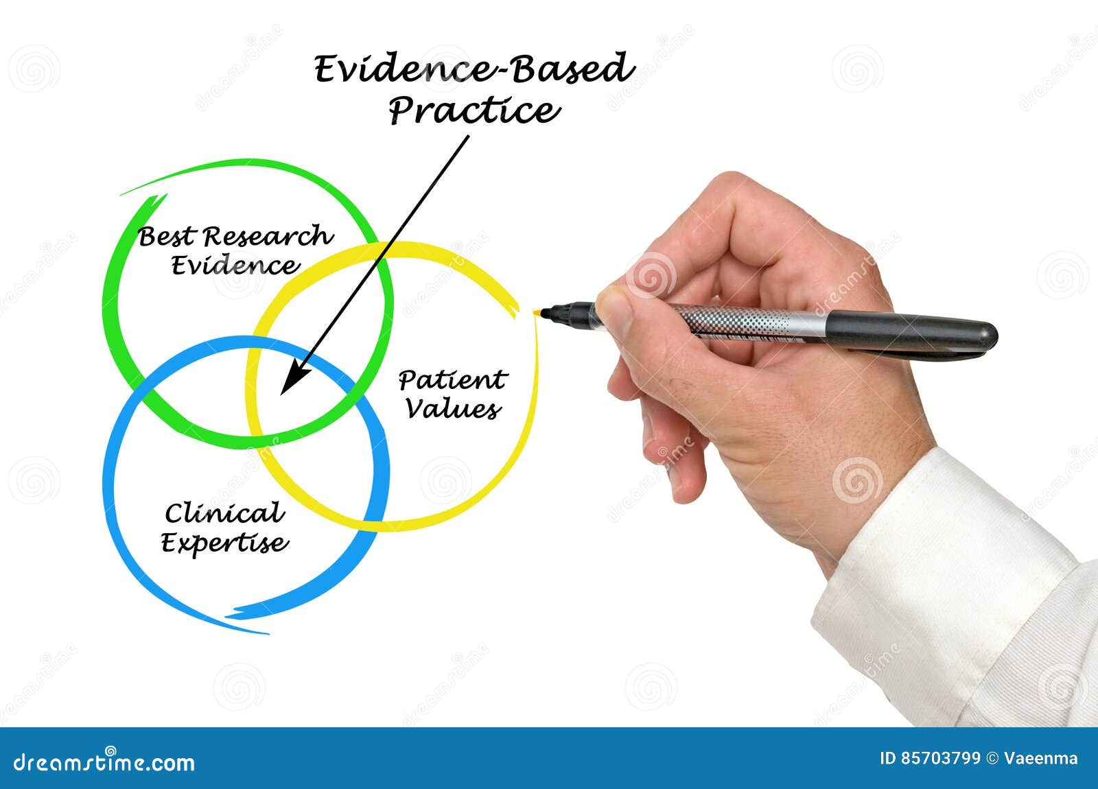 Diagram of EBP stock image. Image of medial, virtual - 85703799 Diagram of EBP stock image. Image of medial, virtual - 85703799
