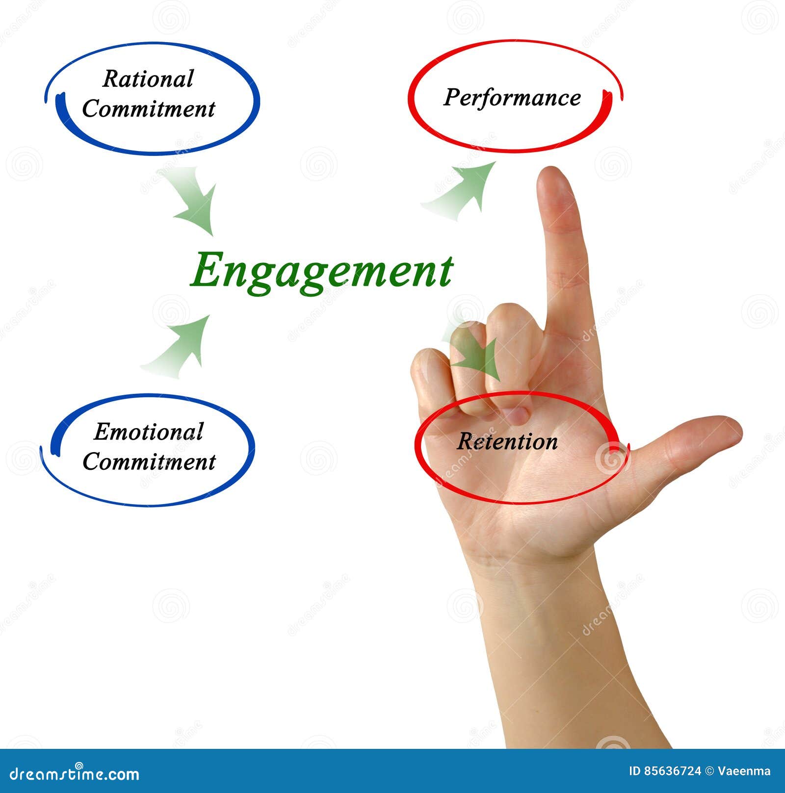 Diagram of Engagement stock photo. Image of concept, staff - 85636724