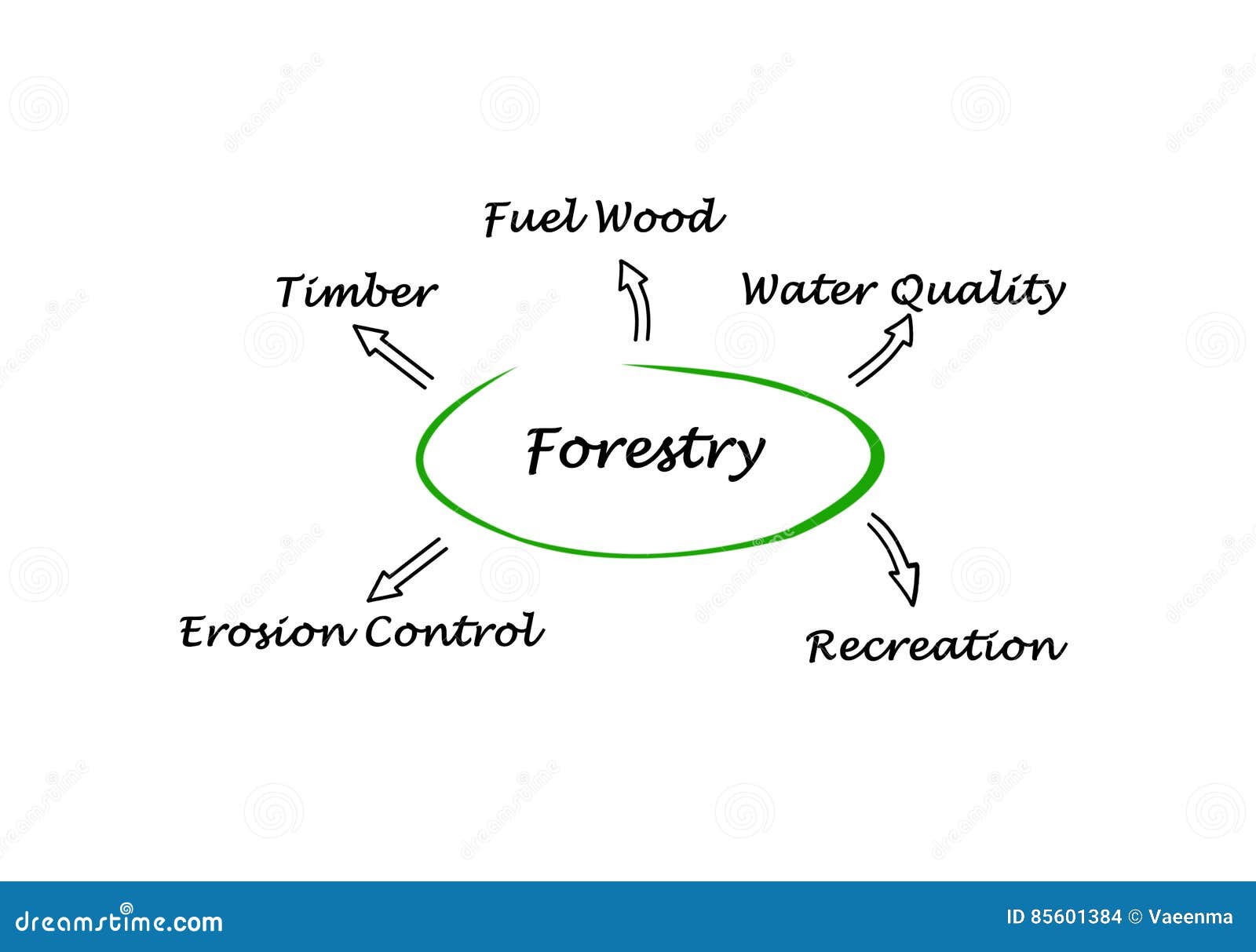 Diagram of Forestry stock illustration. Illustration of forest - 85601384