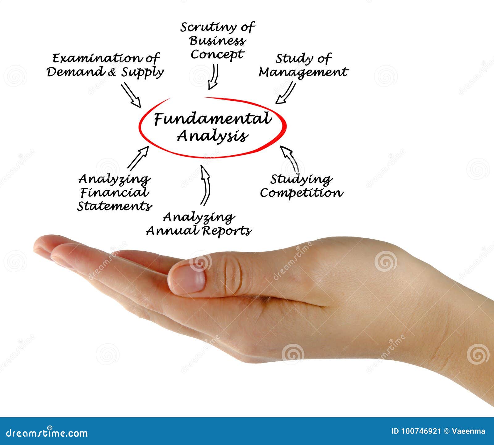 Diagram of Fundamental Analysis Stock Image - Image of lecture, study ...