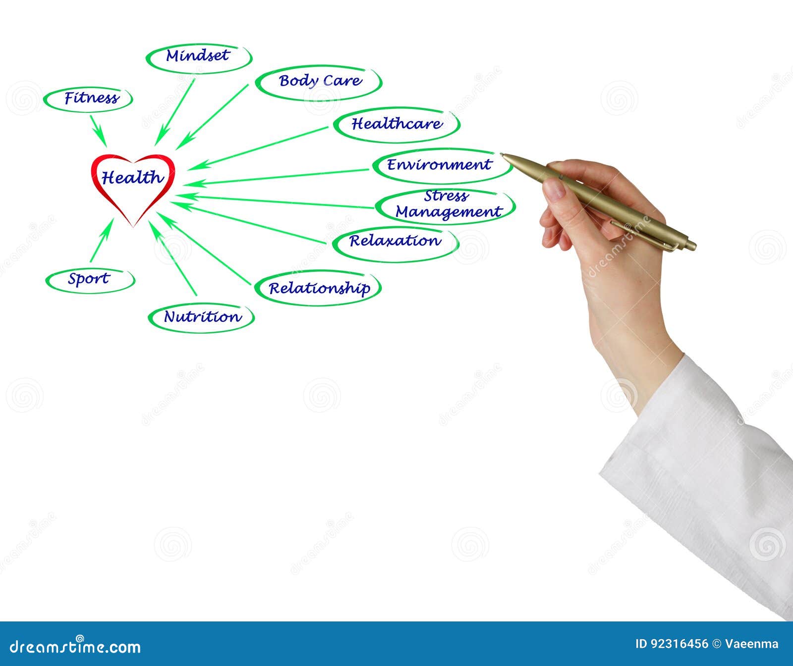 Diagram of health stock photo. Image of colorful, important - 92316456