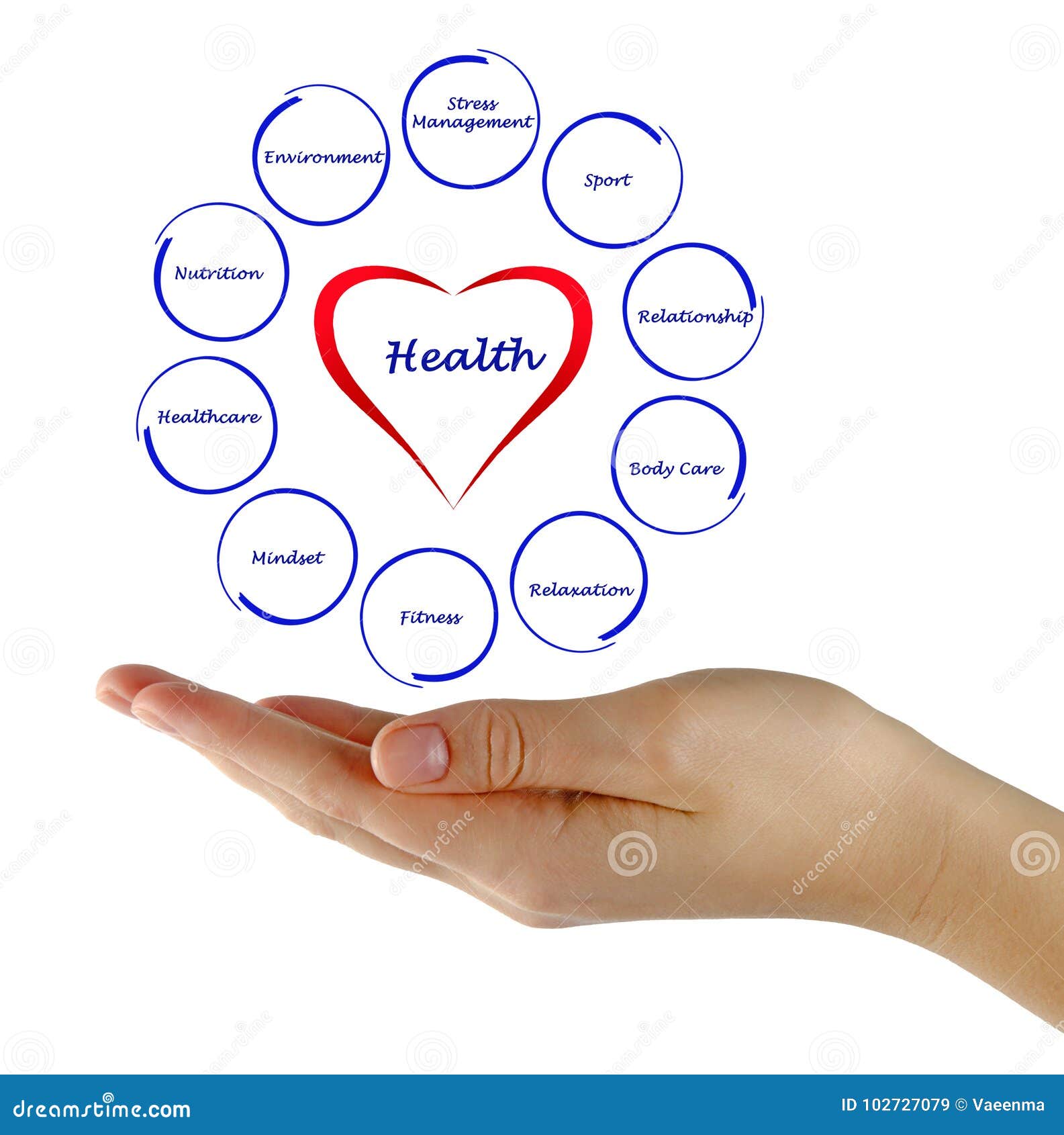 Diagram of health stock image. Image of heart, diagram - 102727079
