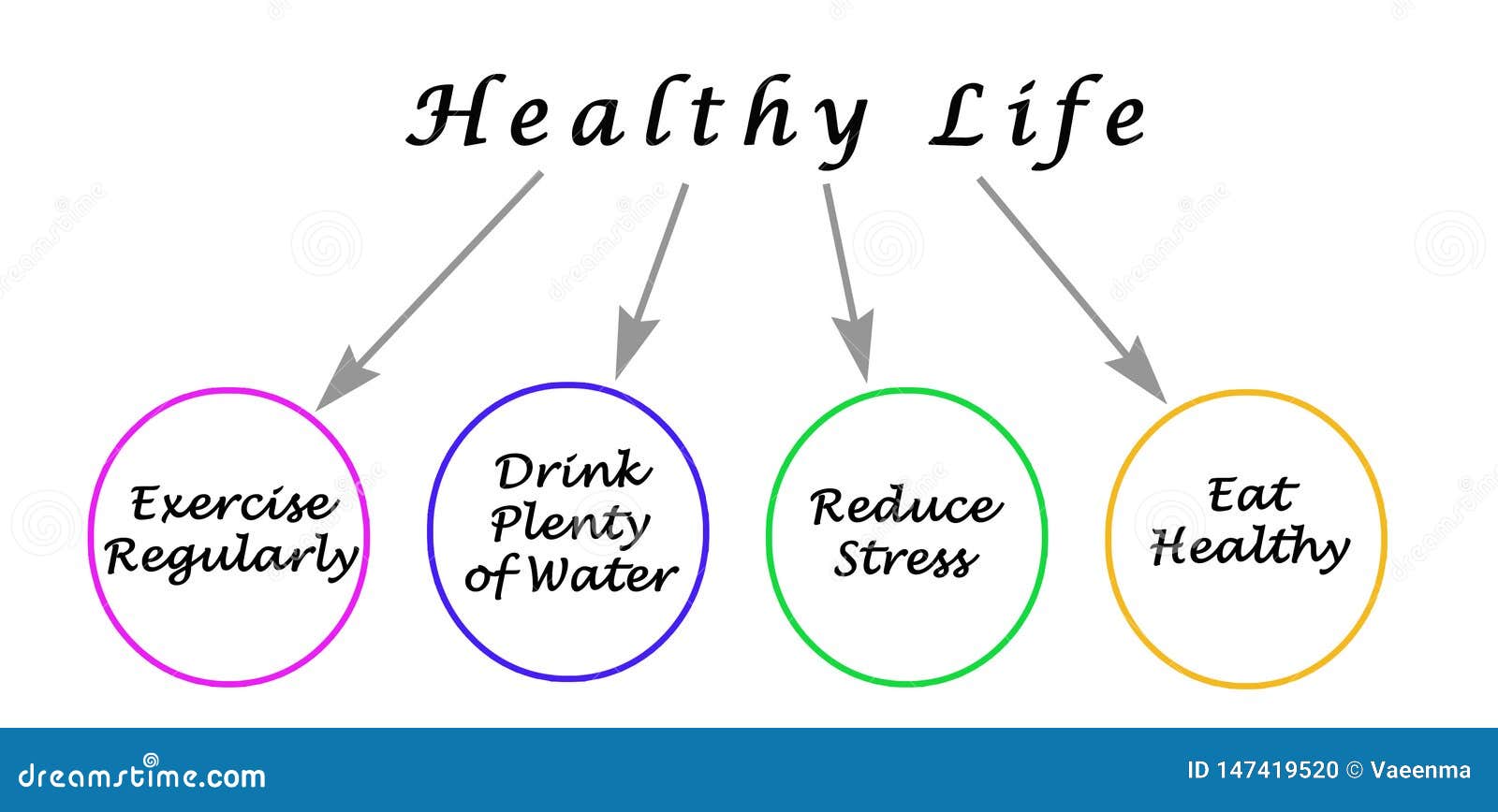 Diagram of healthy life stock photo. Image of lifestyle - 147419520