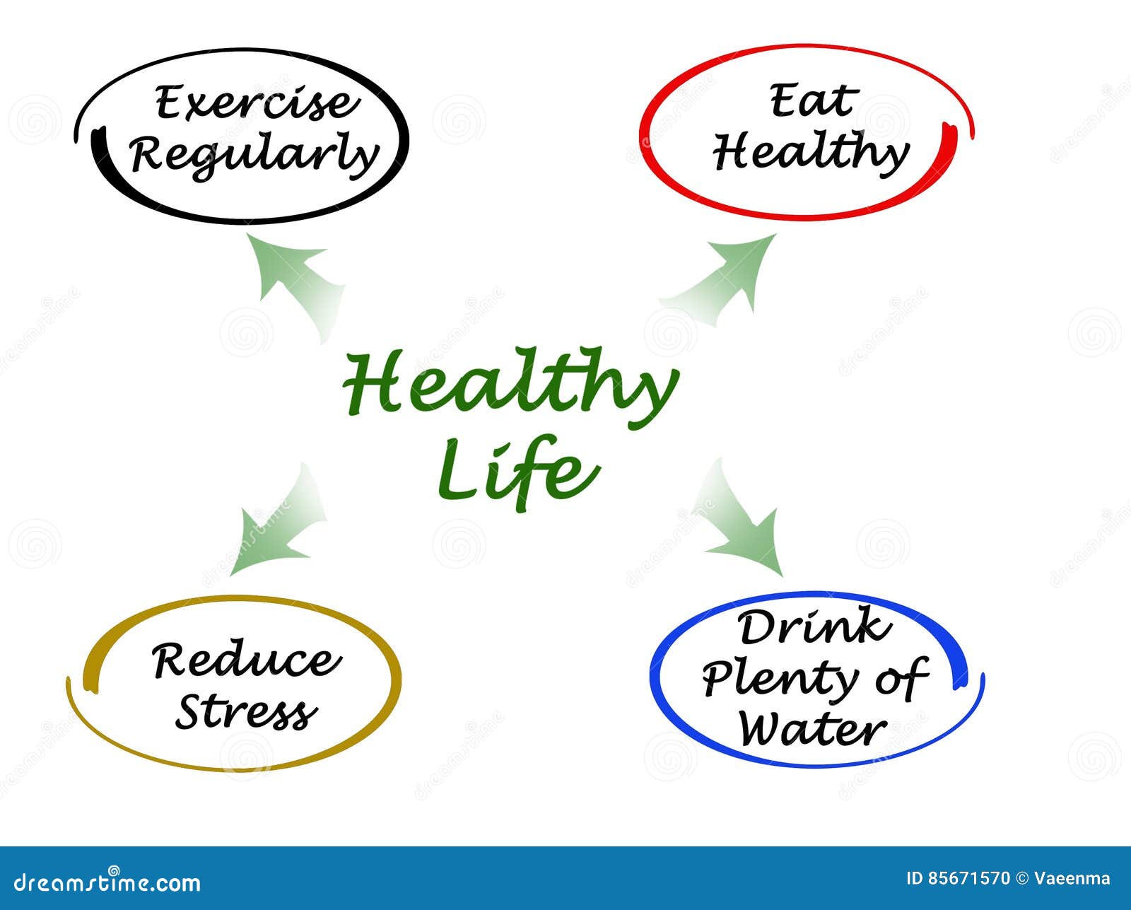 Diagram of healthy life stock illustration. Illustration of water ...
