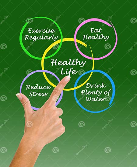 Diagram of healthy life stock photo. Image of concept - 85625464 Diagram of healthy life stock photo. Image of concept - 85625464