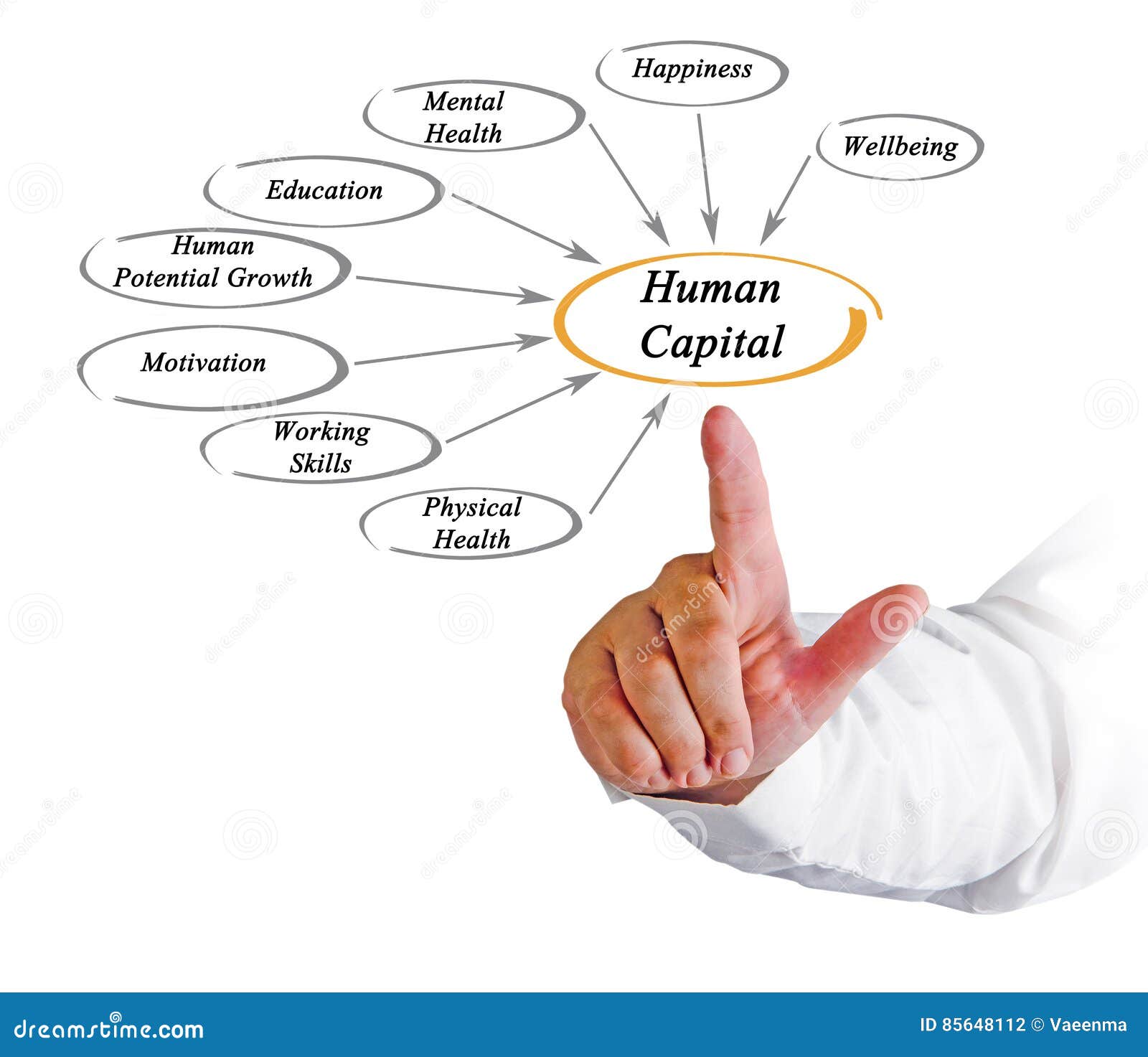 Components Of Capital Structure Royalty-Free Stock Photography ...