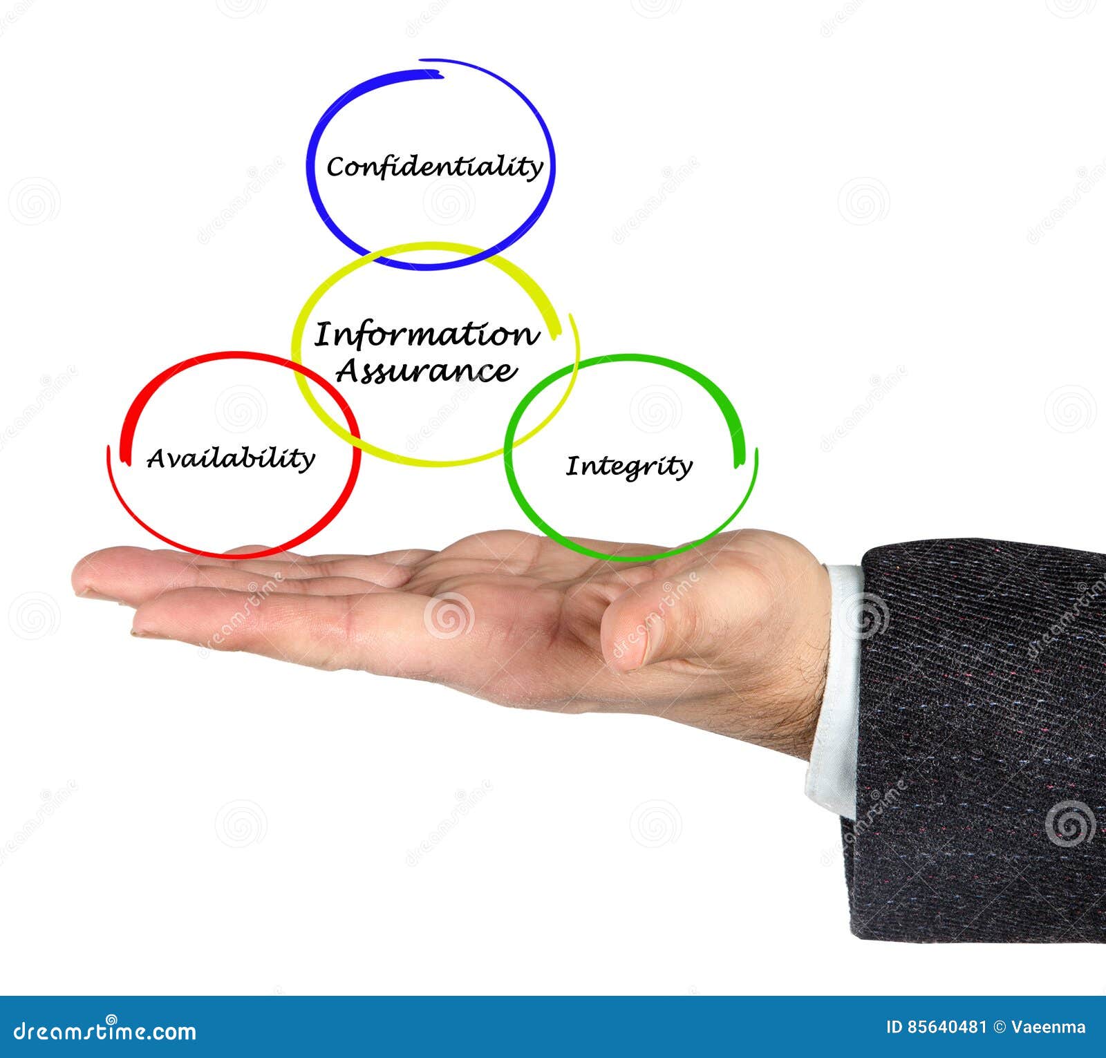 Diagram of Information Assurance Stock Image - Image of data, concept ...