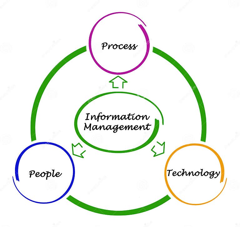 Diagram of Information Management Stock Illustration - Illustration of ...