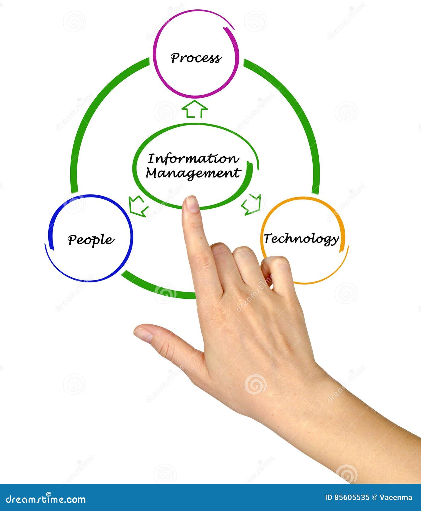 Diagram of Information Management Stock Image - Image of woman, female ...