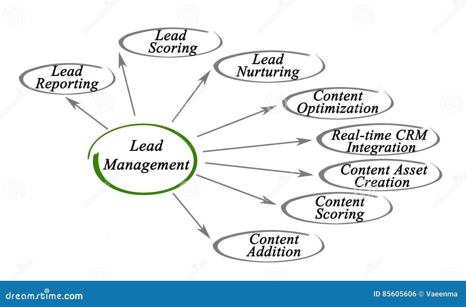 Diagram of Lead Management stock illustration. Illustration of scoring ...