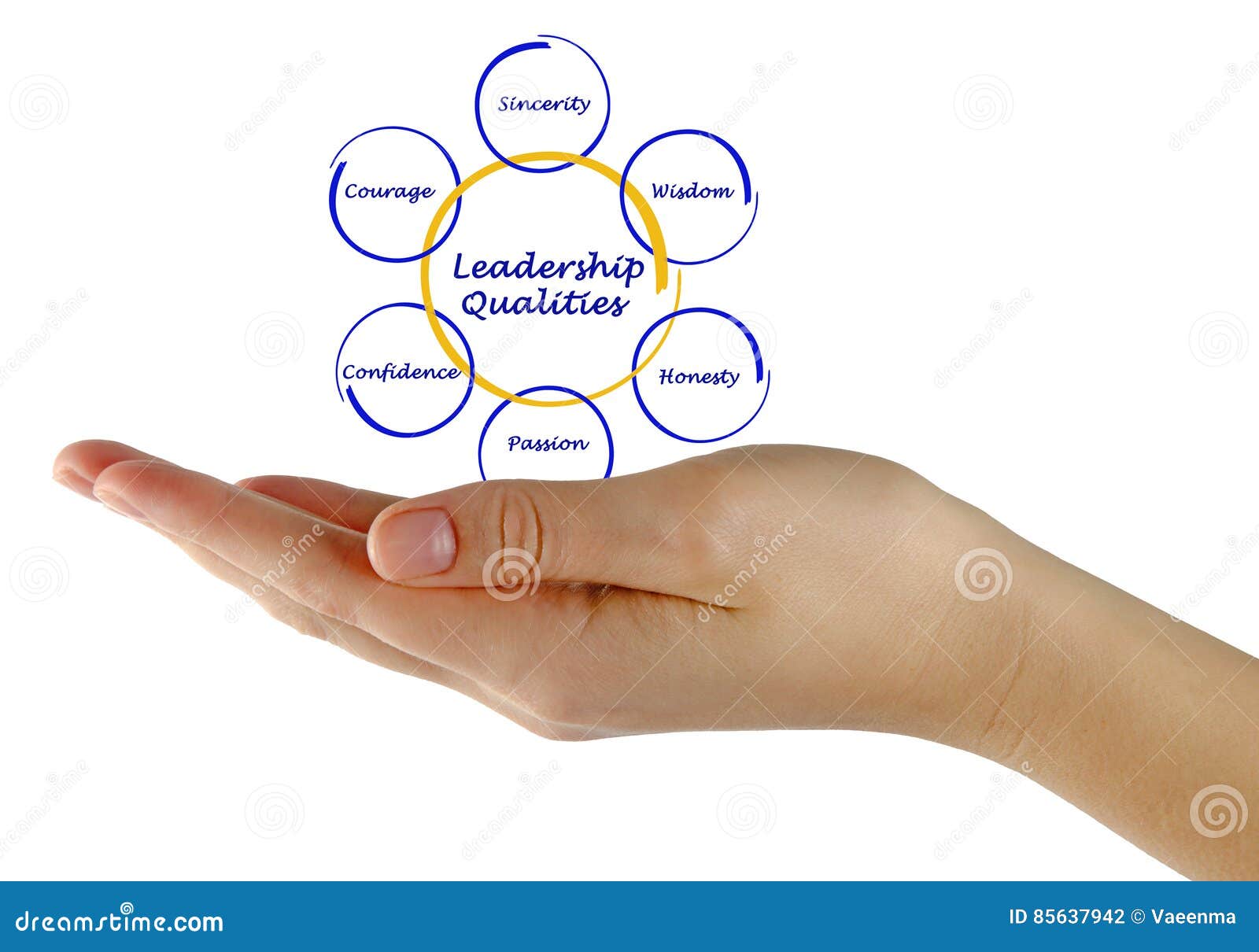 Diagram of Leadership Qualities Stock Photo - Image of president ...
