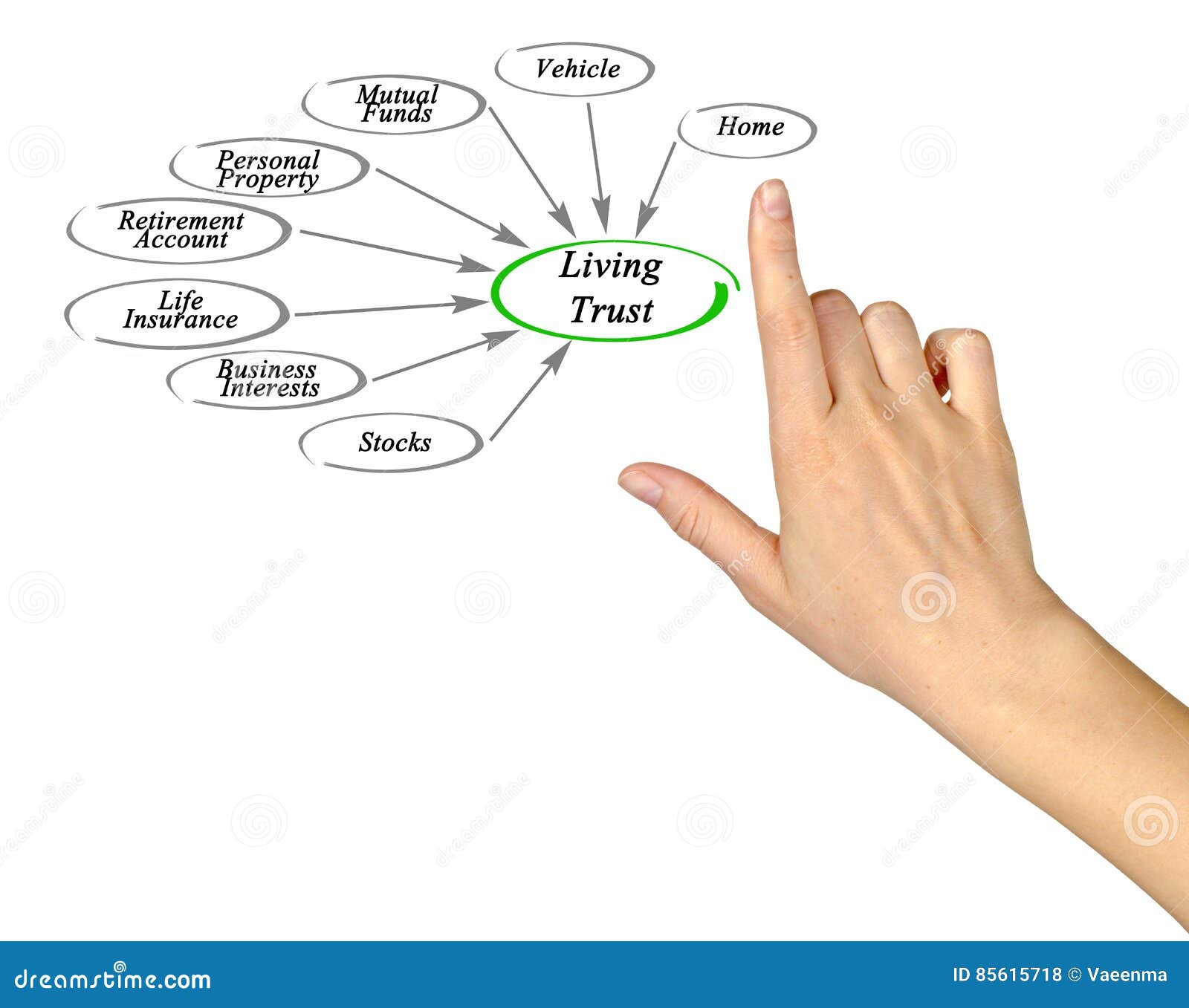 Diagram of Living Trust stock photo. Image of interests - 85615718