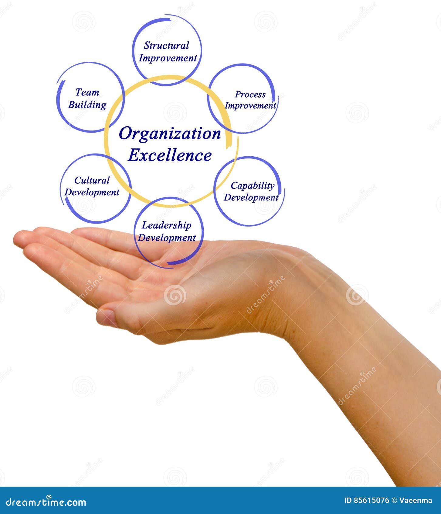 Diagram of Organization Excellence Stock Photo - Image of building ...