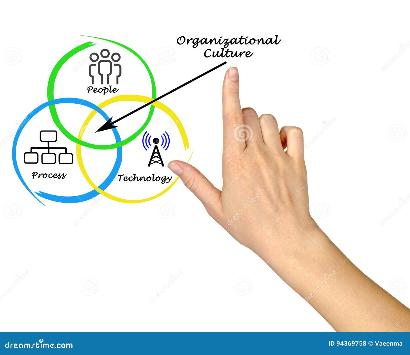 What Is Culture Diagram