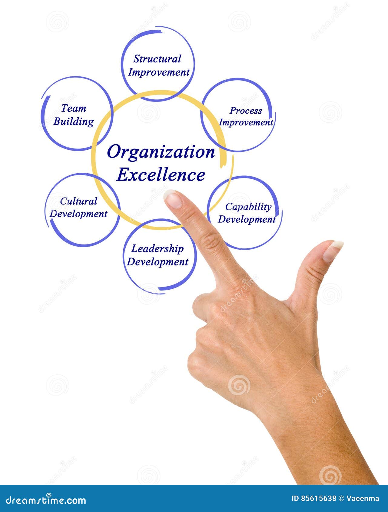 Diagram of Organizational Excellence Stock Photo - Image of lecture ...