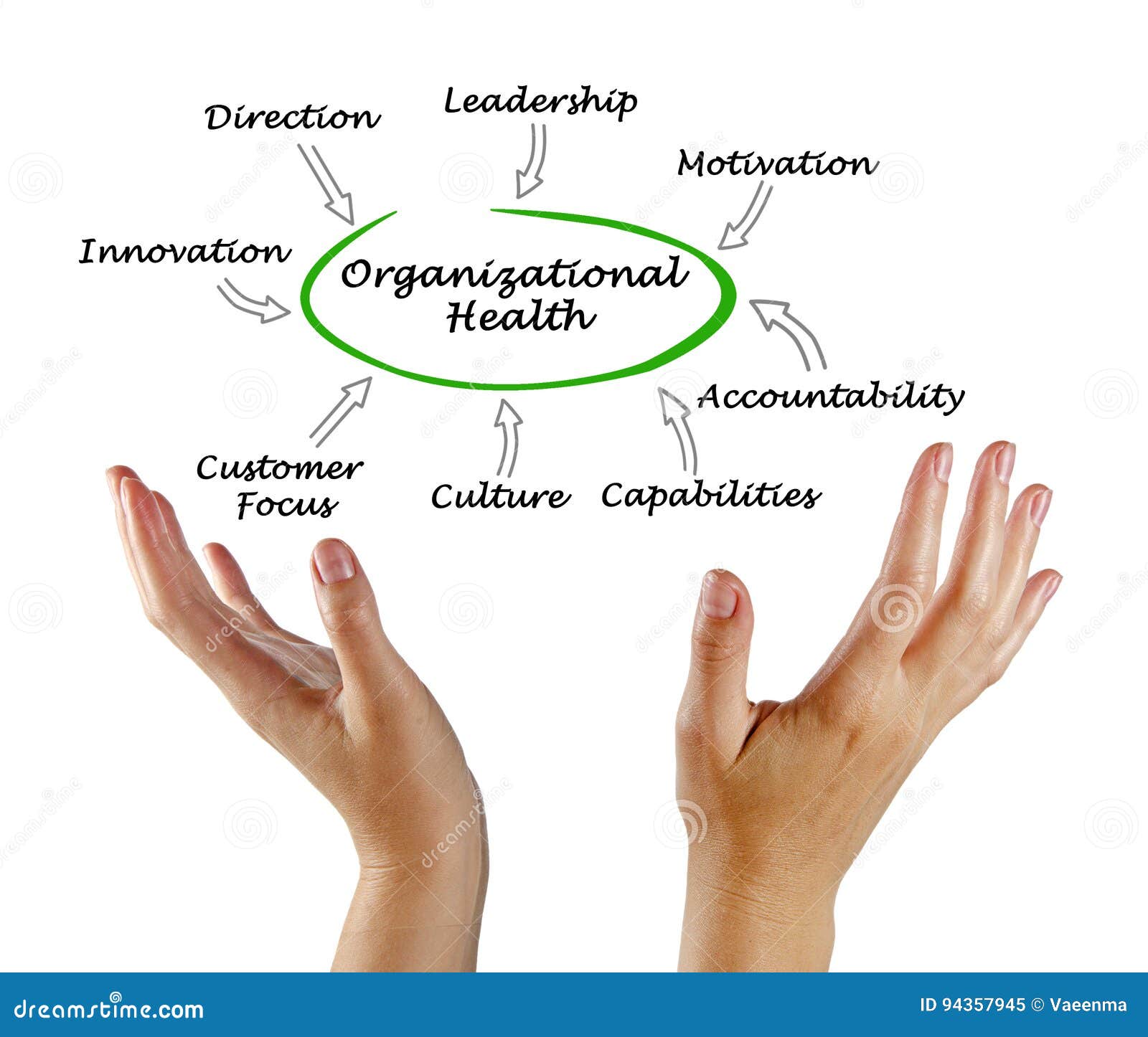 Diagram of Organizational Health Stock Image - Image of health ...