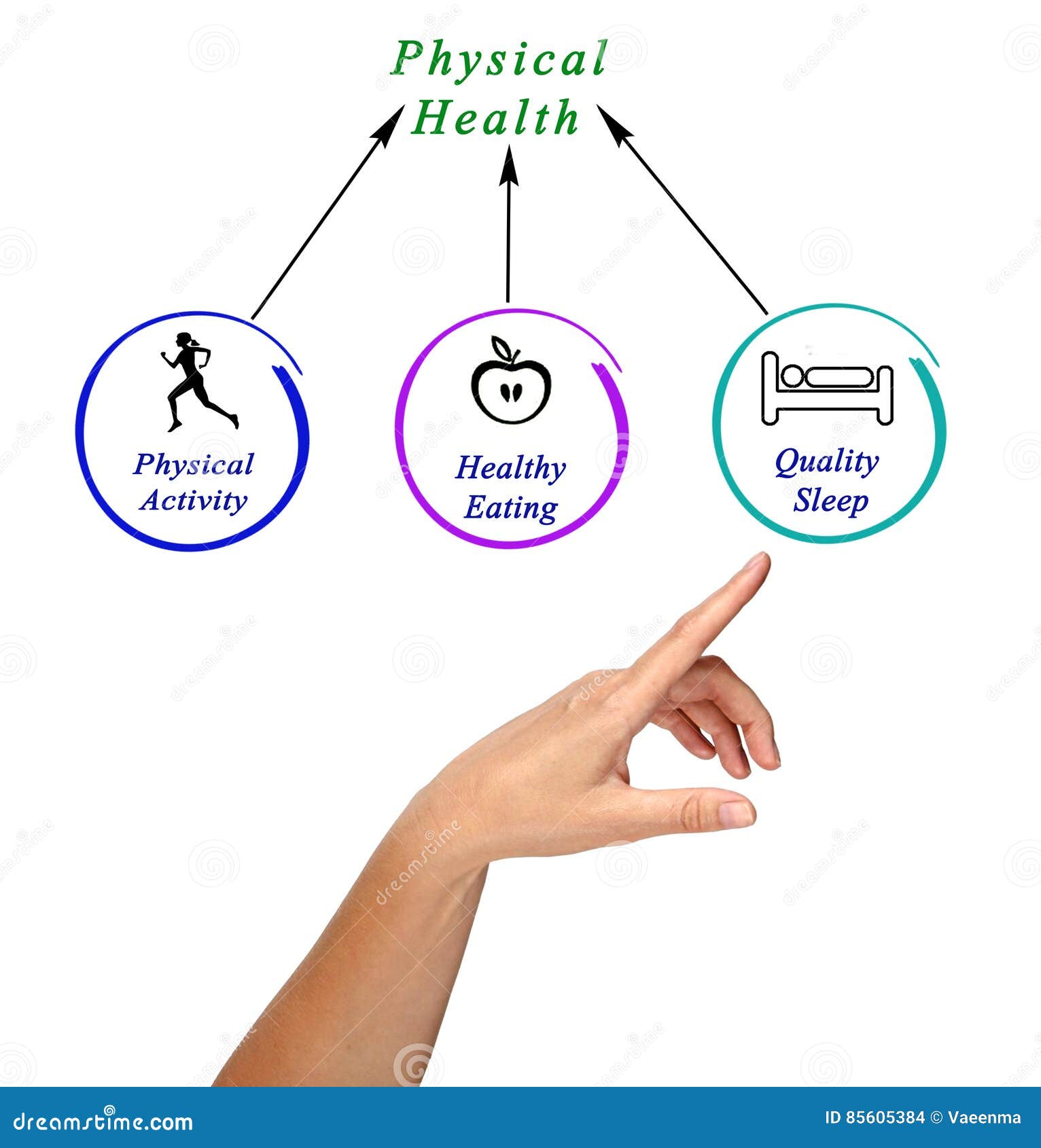 Diagram of Physical health stock photo. Image of healthy - 85605384