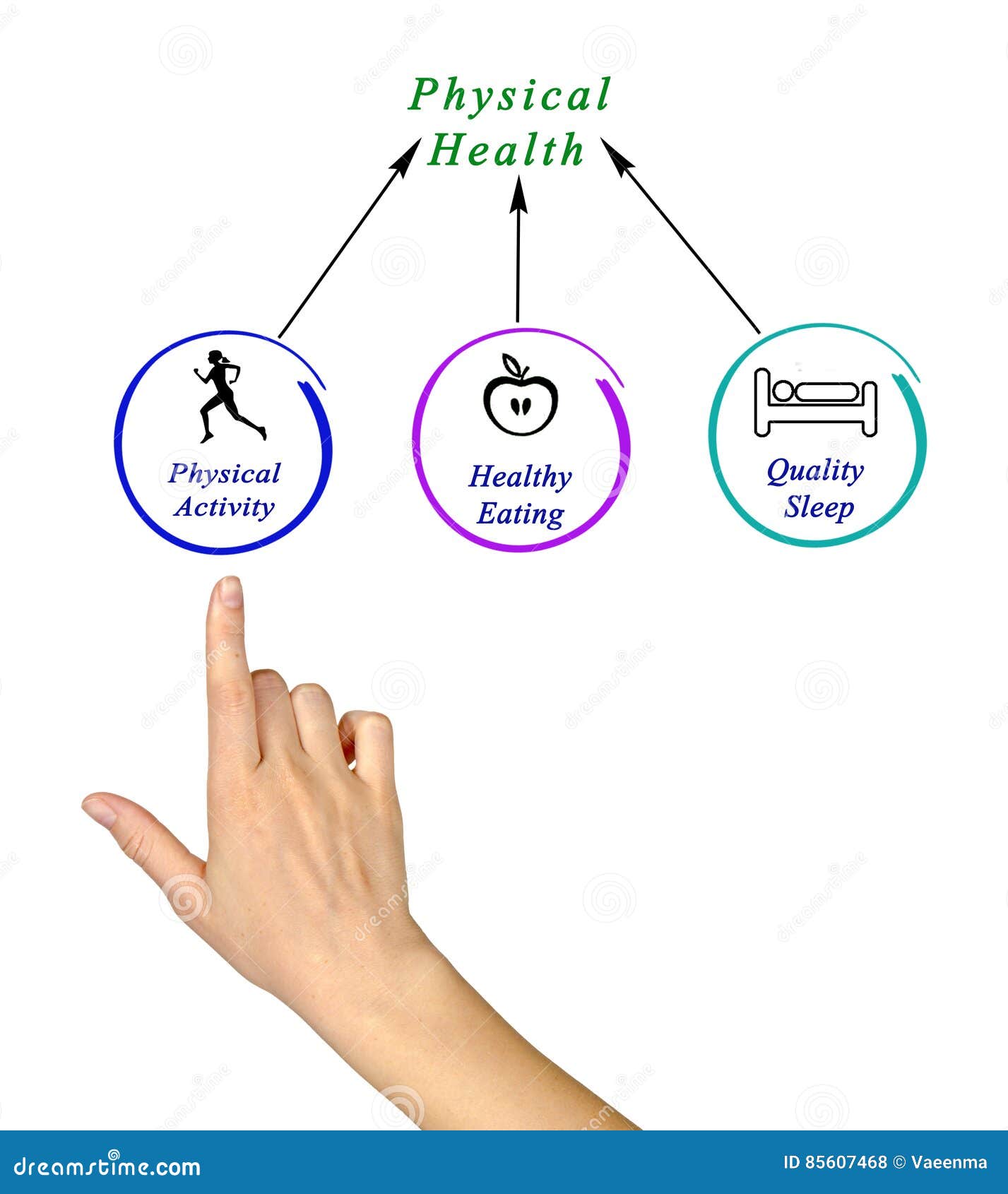 Diagram of Physical health stock photo. Image of mental - 85607468