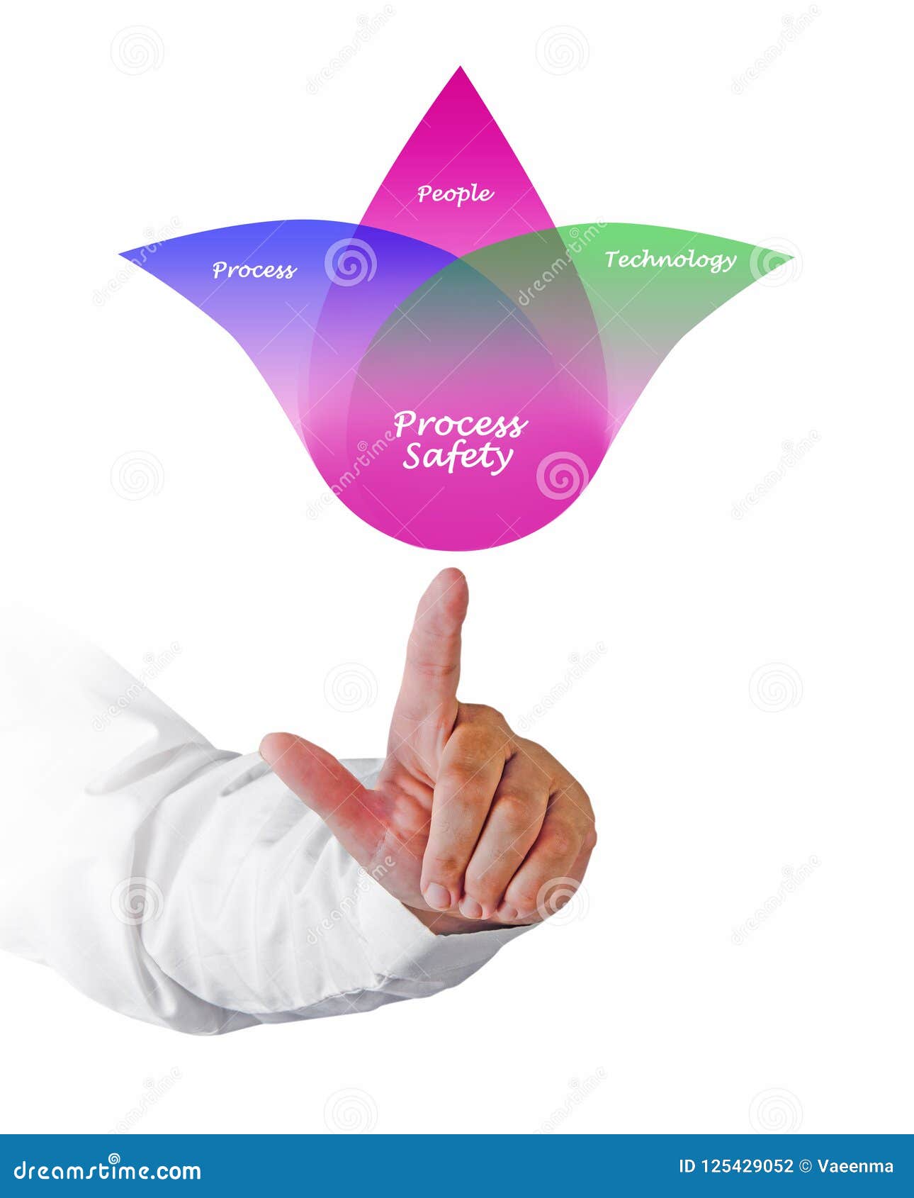 Diagram Of Intrusion Detection System Royalty-Free Stock Image ...