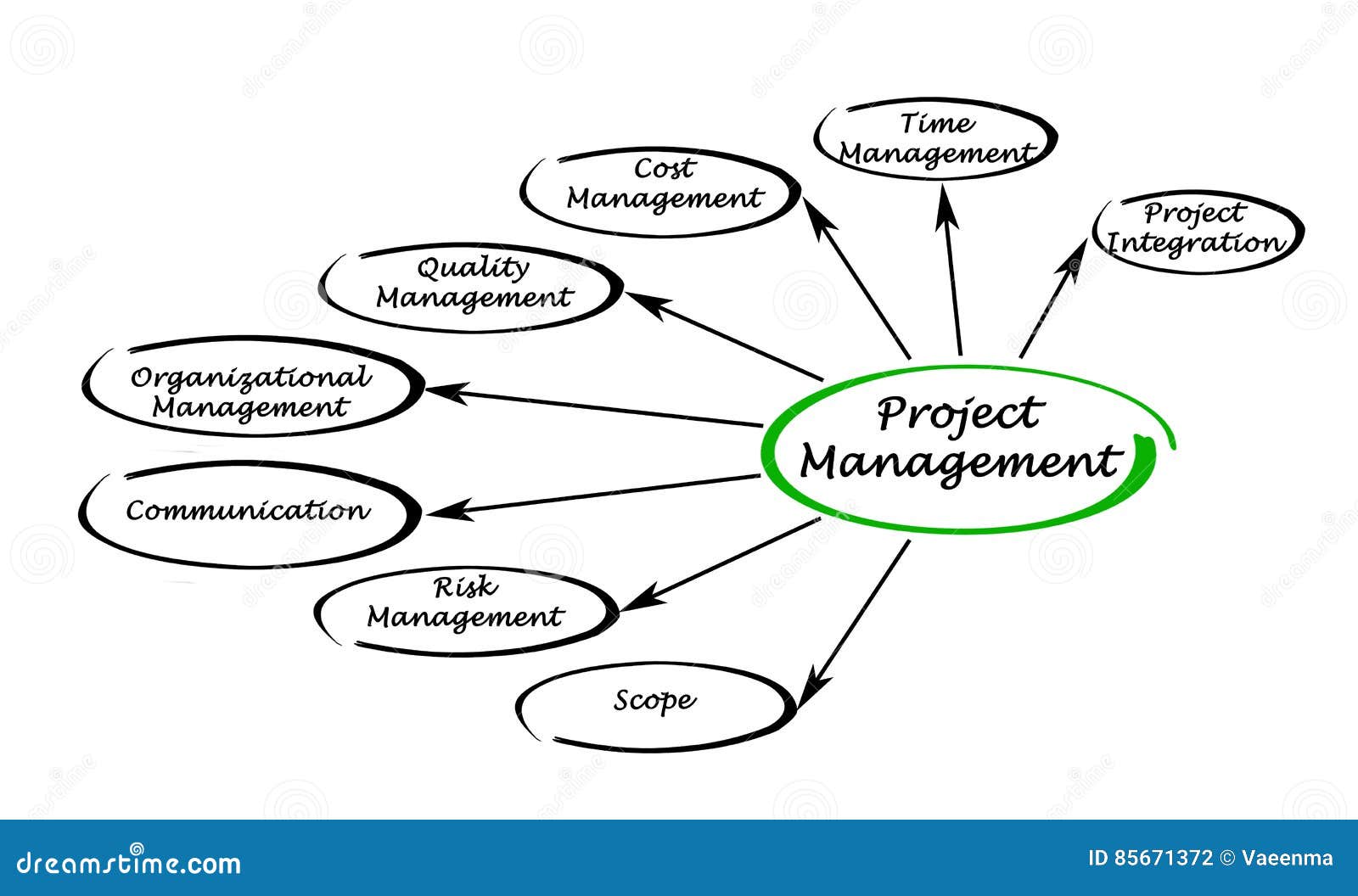 Diagram of Project Management Stock Illustration - Illustration of ...