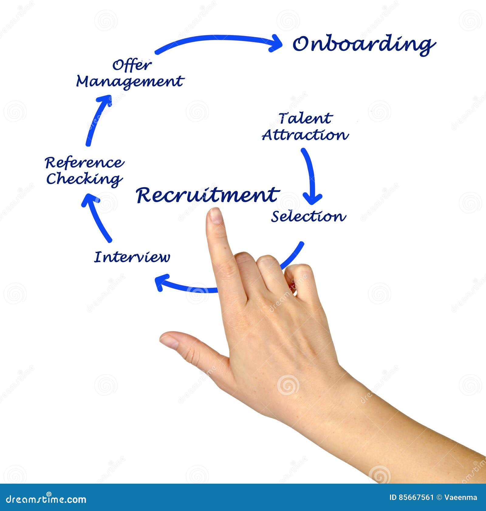 Diagram of Recruitment Process Stock Image - Image of human, attraction ...